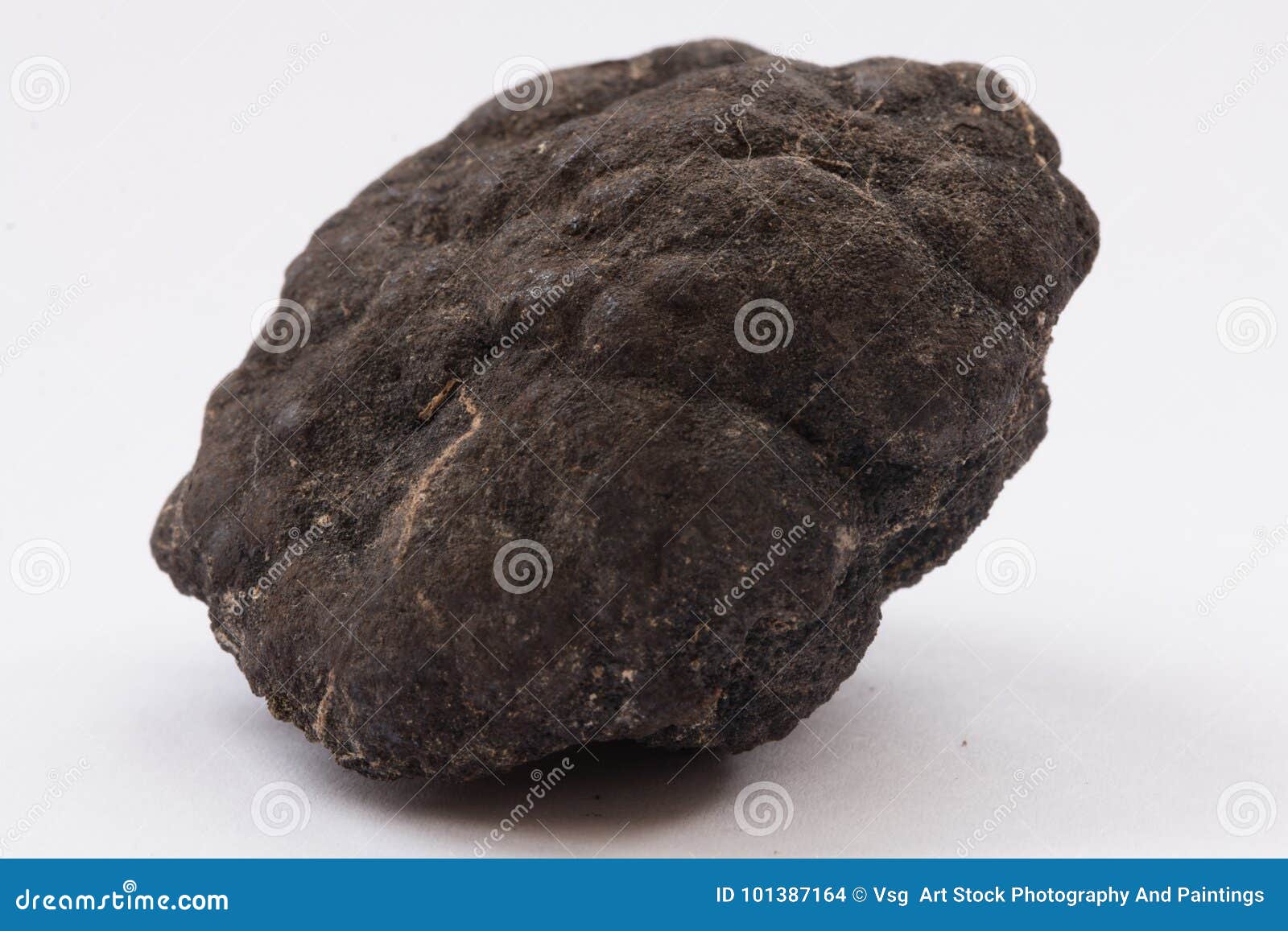 Polymetallic Nodules Pacific Ocean on White Background Stock Photo ...
