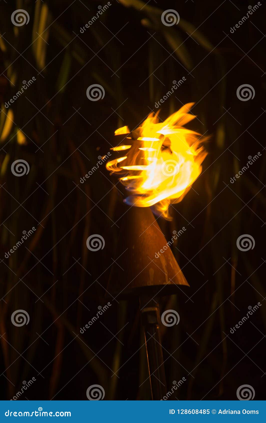 A polynesian torch stock image. Image of gathering, fire - 128608485