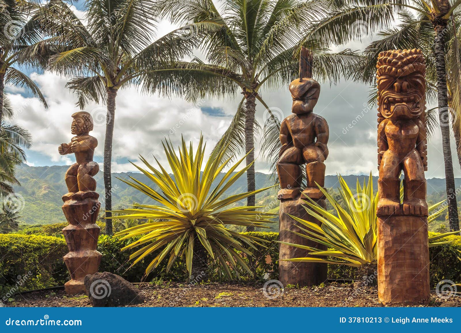 Polynesier Tiki stockbild. Bild von sonnenschein, gelb - 37810213