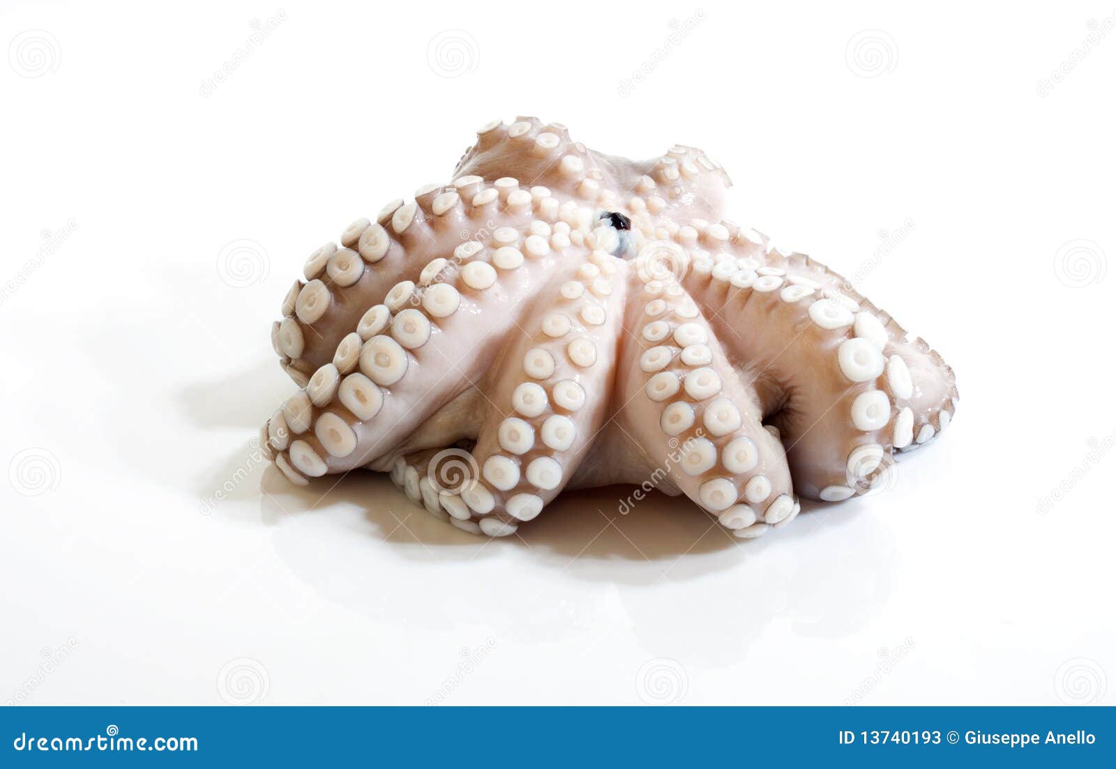 Polypus image stock. Image du restauration, délicieux - 13740193