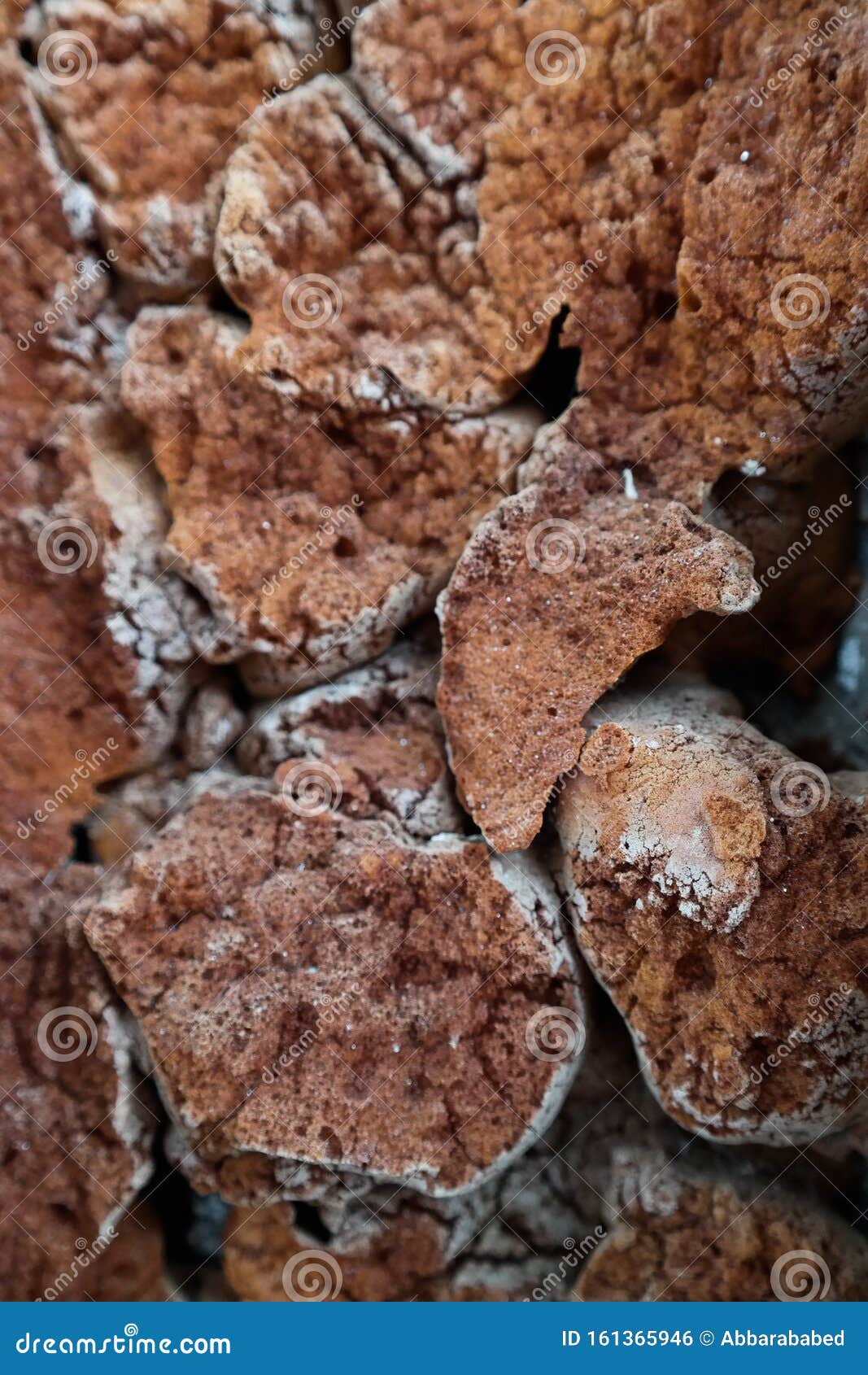 Polyurethane Foam in Interesting Coral Like Texture. Polyurethane ...