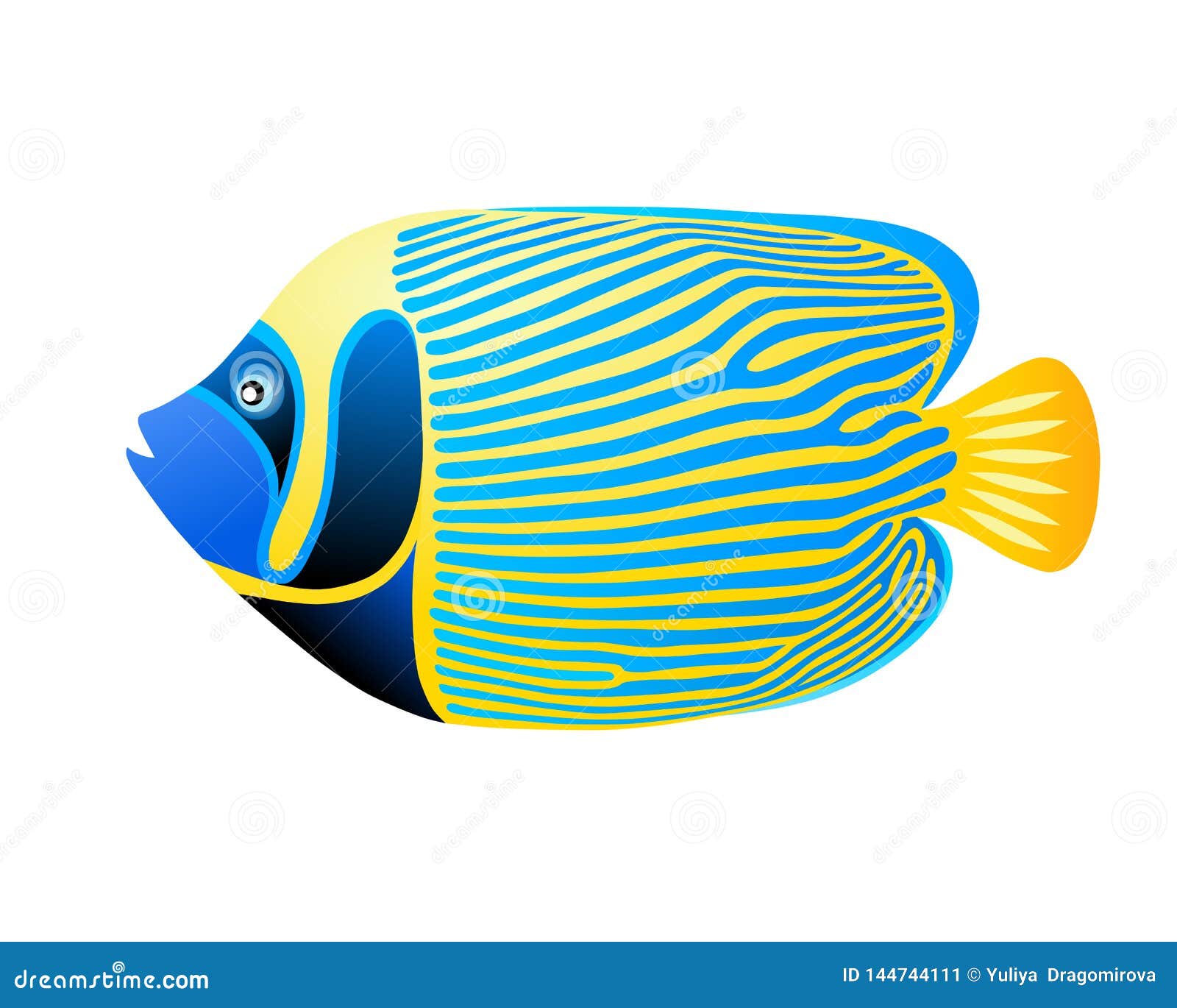 Imperial Aquarium Tropical Fish Animated Cartoon Vector Illustration ...