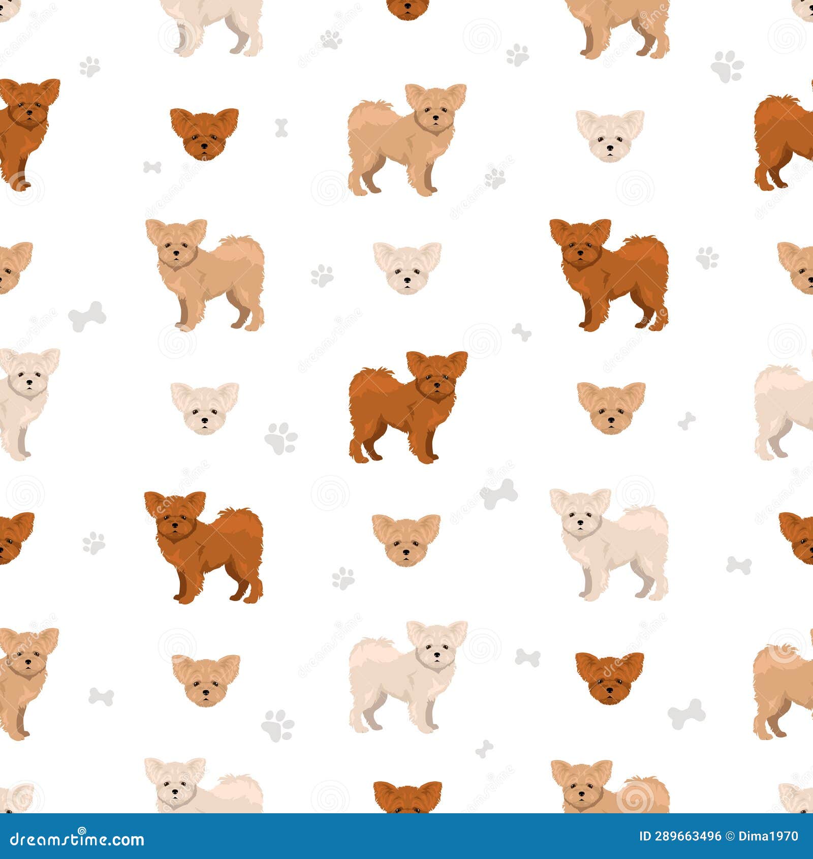 Pomapoo Seamless Pattern. Pomeranian Poodle Mix Stock Vector ...