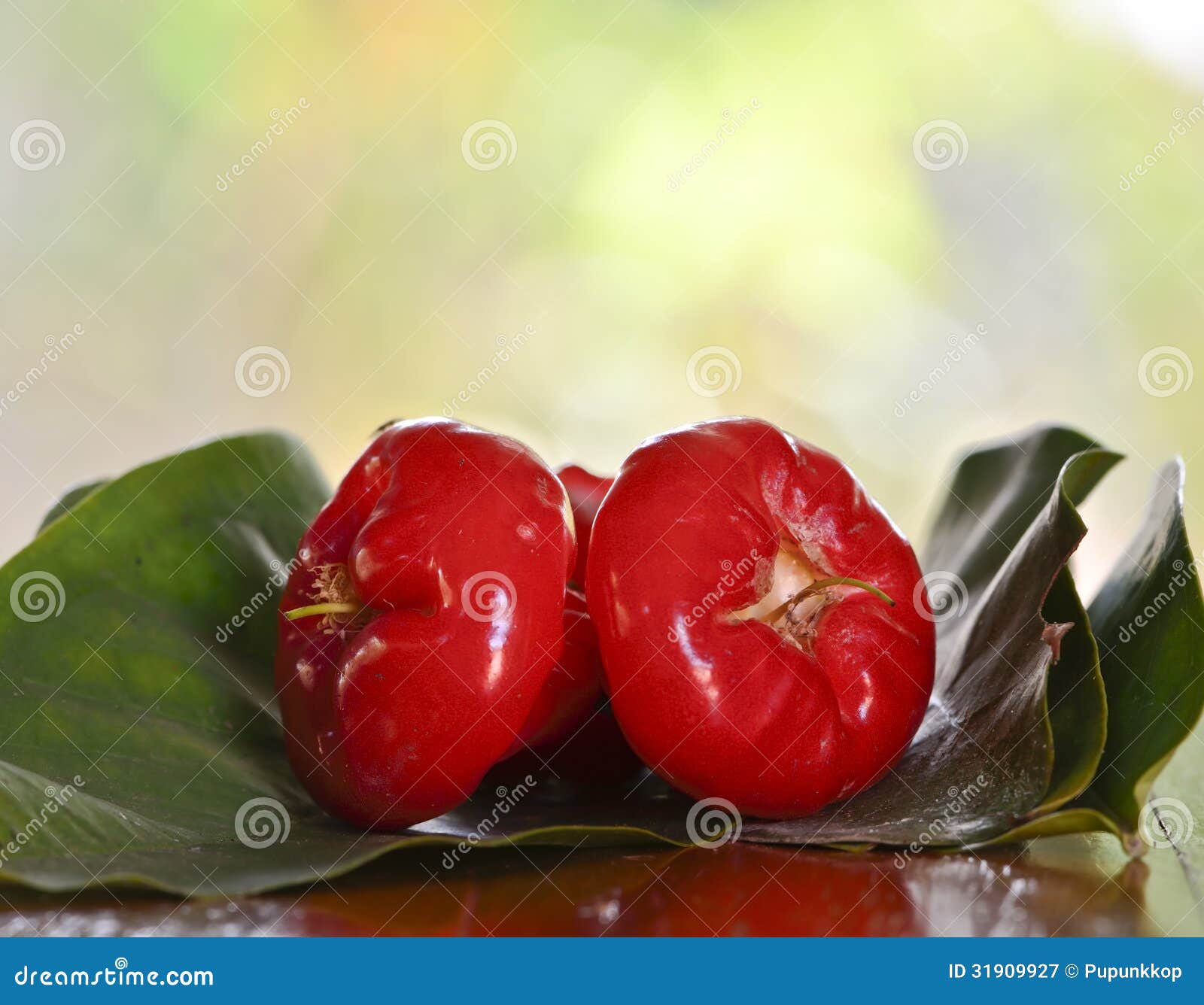 Pomarrosa imagen de archivo. Imagen de primer, fruta - 31909927
