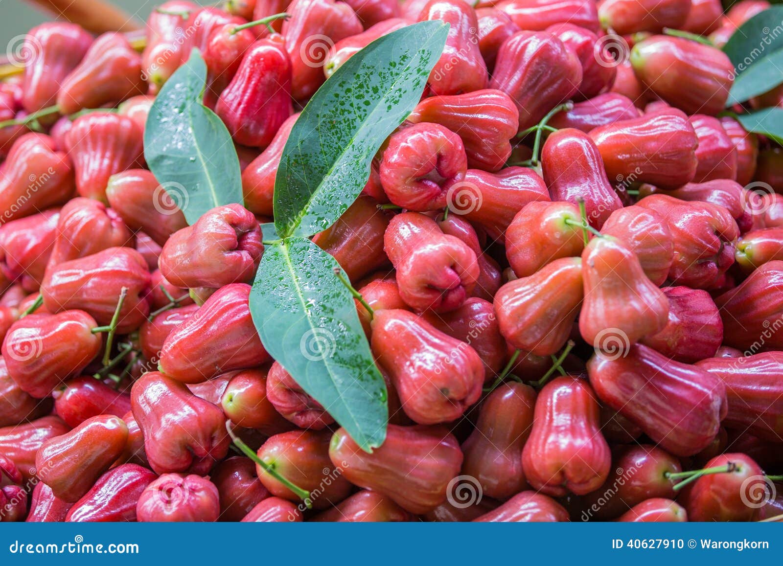 Pomarrosa foto de archivo. Imagen de colorido, travieso - 40627910