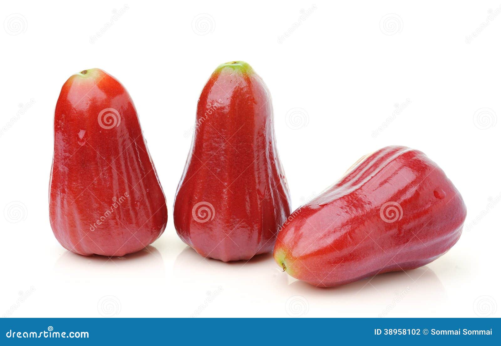 Pomarrosa Aislada En El Fondo Blanco Foto de archivo - Imagen de planta ...