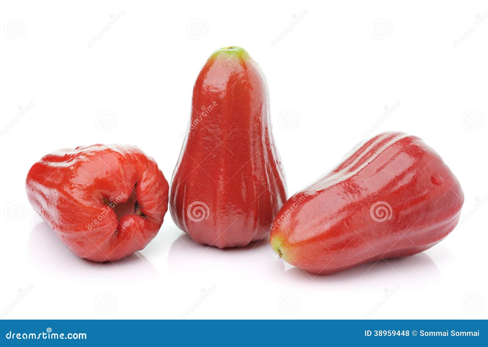 Pomarrosa Aislada En El Fondo Blanco Foto de archivo - Imagen de ...