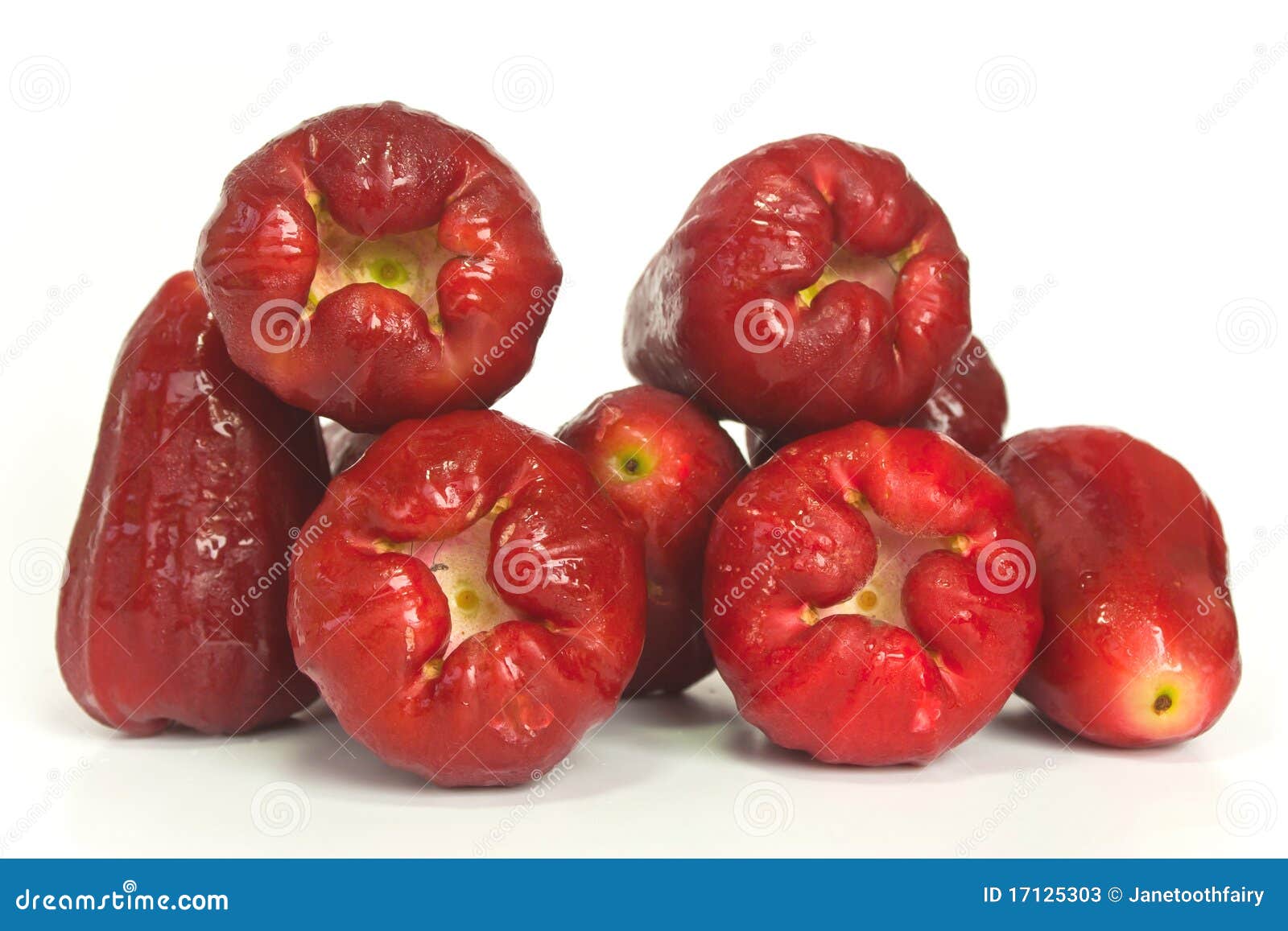 Pomarrosas imagen de archivo. Imagen de rose, rojo, blanco - 17125303