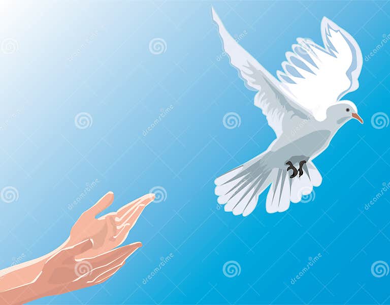 Pombo sobre - - mosca ilustração do vetor. Ilustração de pombo - 8311697