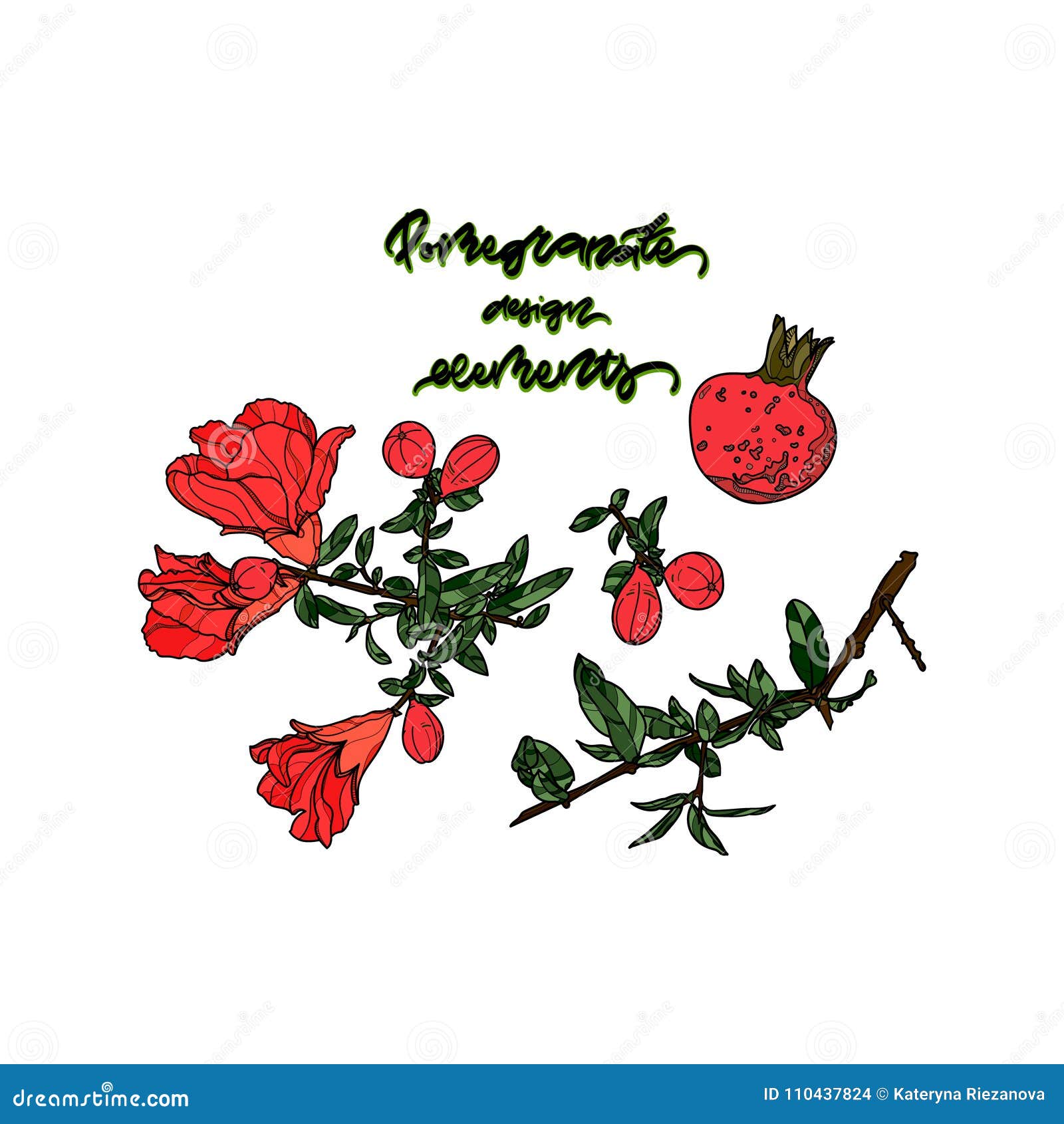 Pomegranate Design Elements. Stock Vector - Illustration of pattern ...