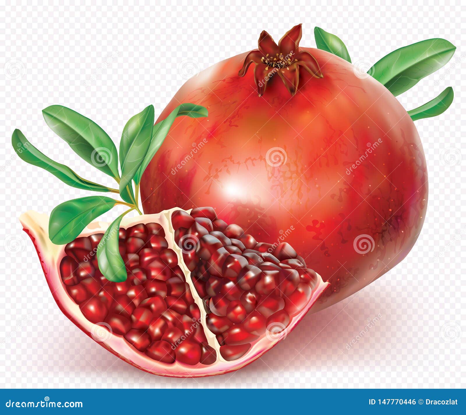 Pomegranate Fruit On Red Background Cartoon Vector | CartoonDealer.com ...