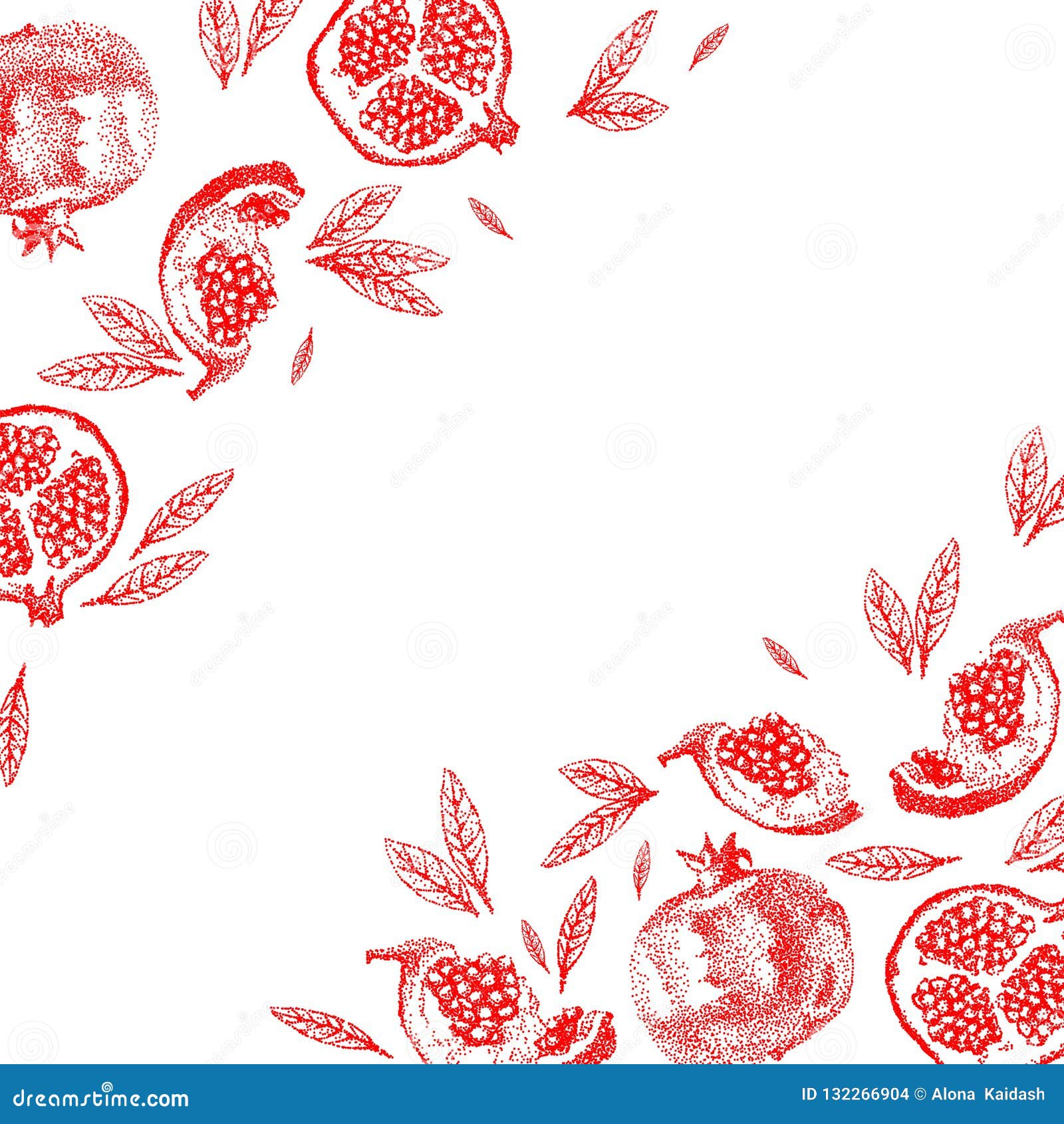 Pomegranate Fruit Vintage Design Template. Botanical Fruit. Stock ...