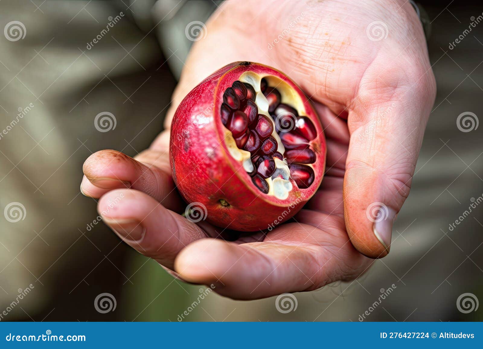 Pomegranate in Hand, with Juicy Seeds Visible Stock Illustration ...