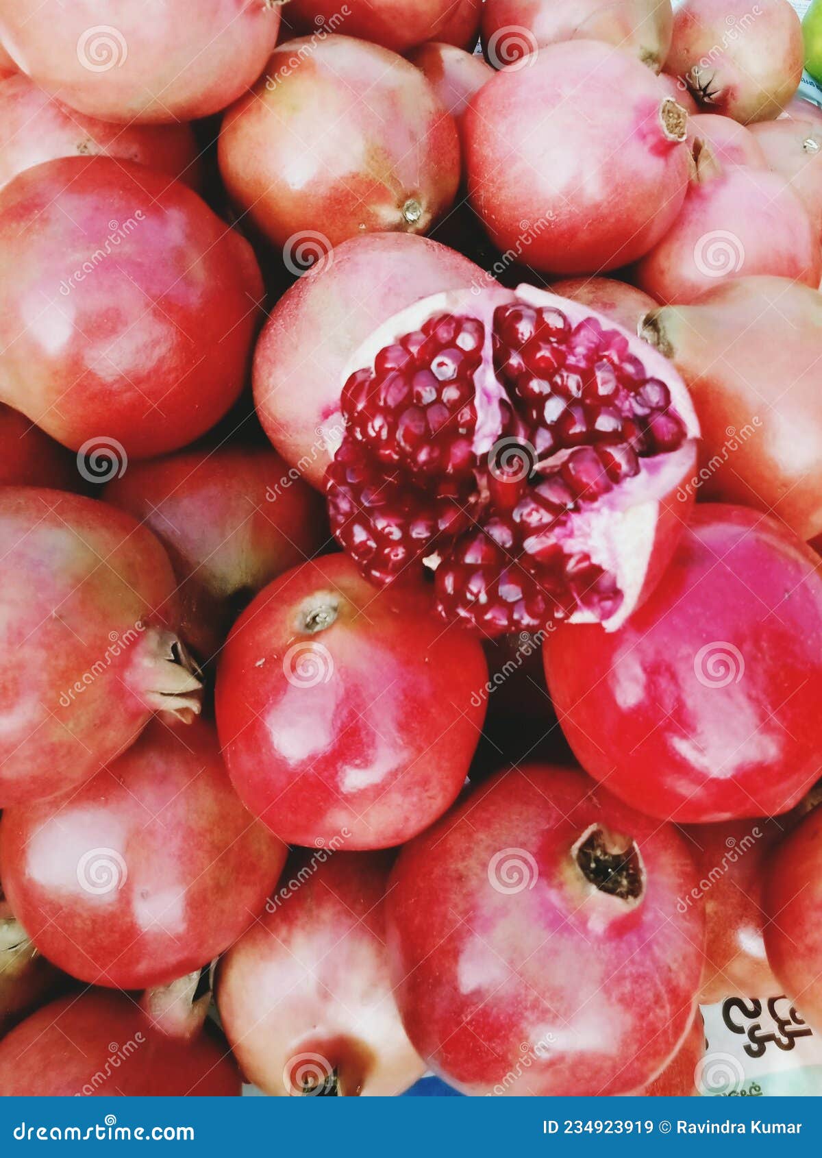 Spiny Branches And Yellow Flowers Of The Unusual Australian Native ...