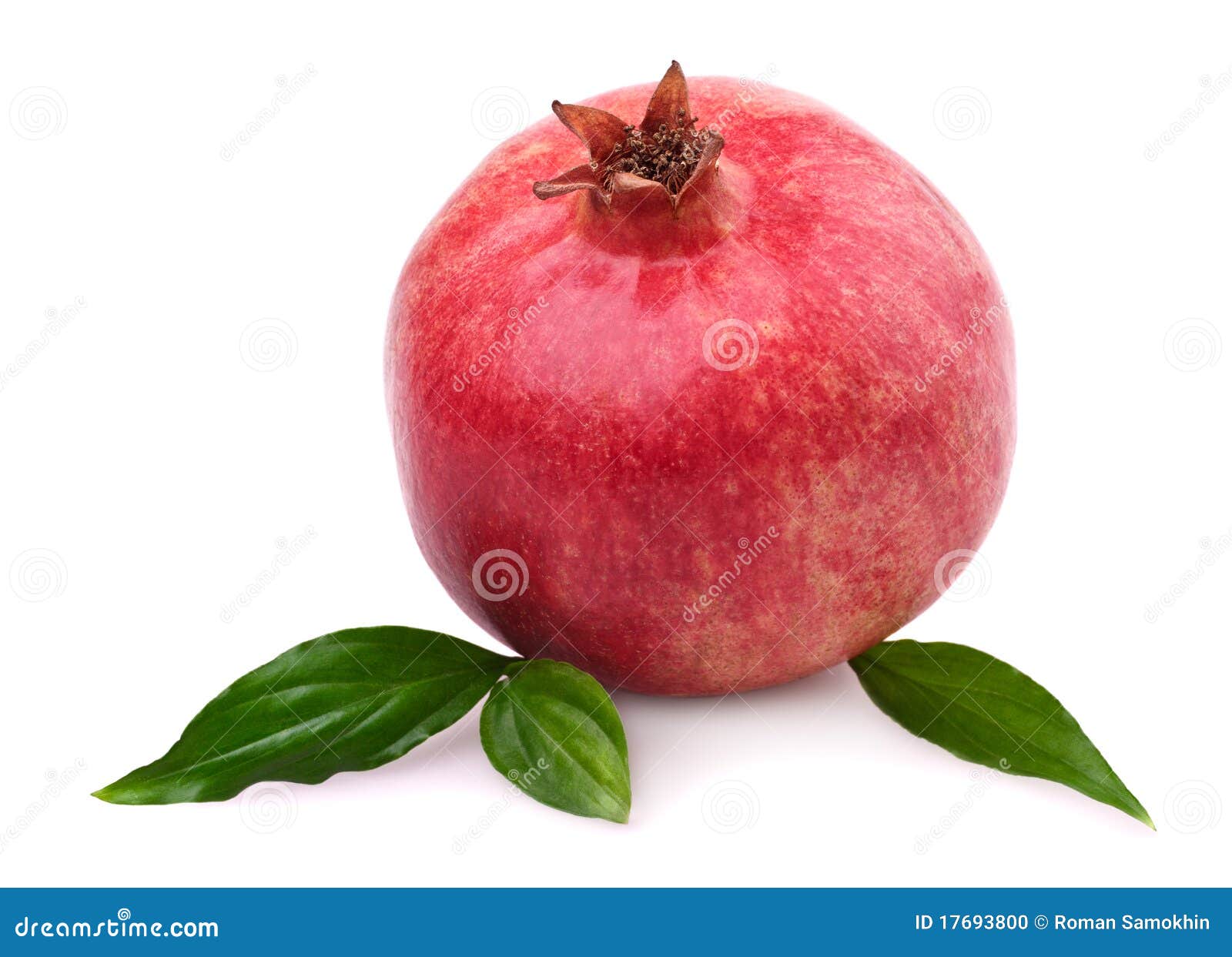 Pomegranate with leaves stock photo. Image of healthy - 17693800