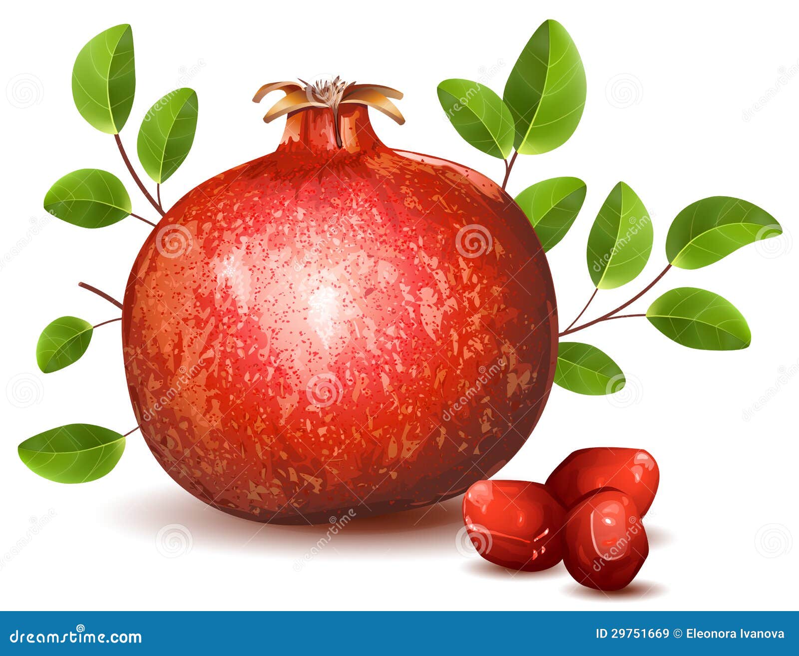 Pomegranate Cartoons, Illustrations & Vector Stock Images - 42305 ...