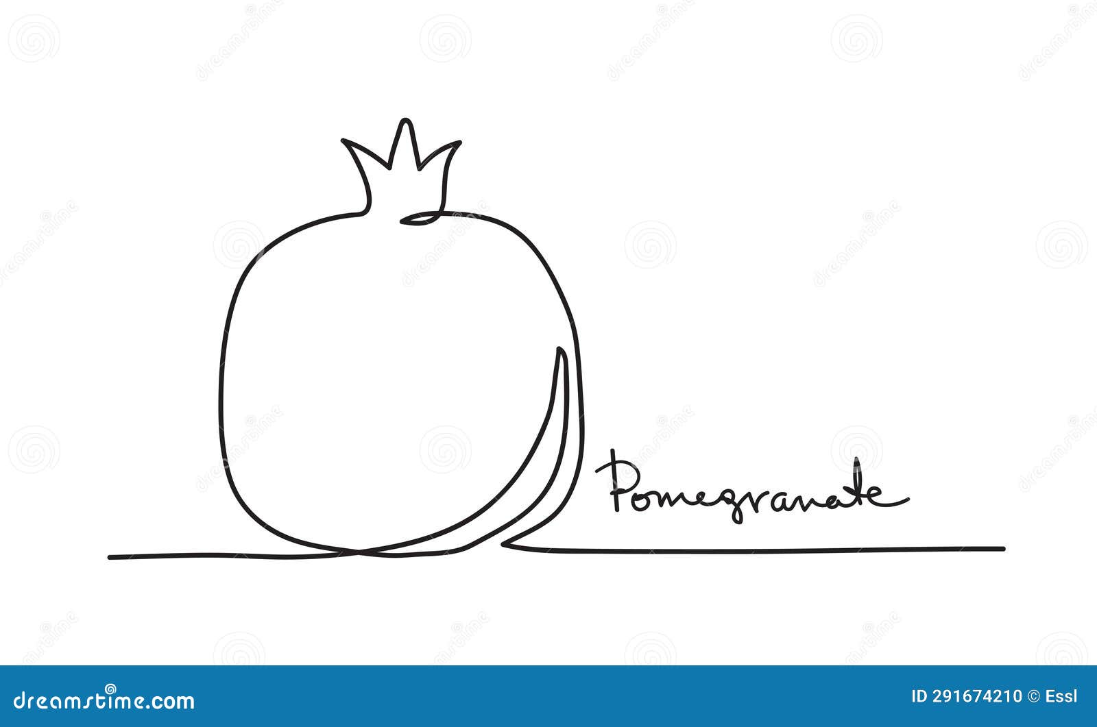 Pomegranate. Modern Line Art Drawing. Outline Draw Design Vector ...