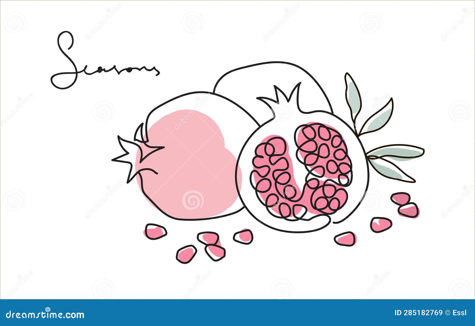 Pomegranate. Modern Single Line Art Drawing Stock Vector - Illustration ...