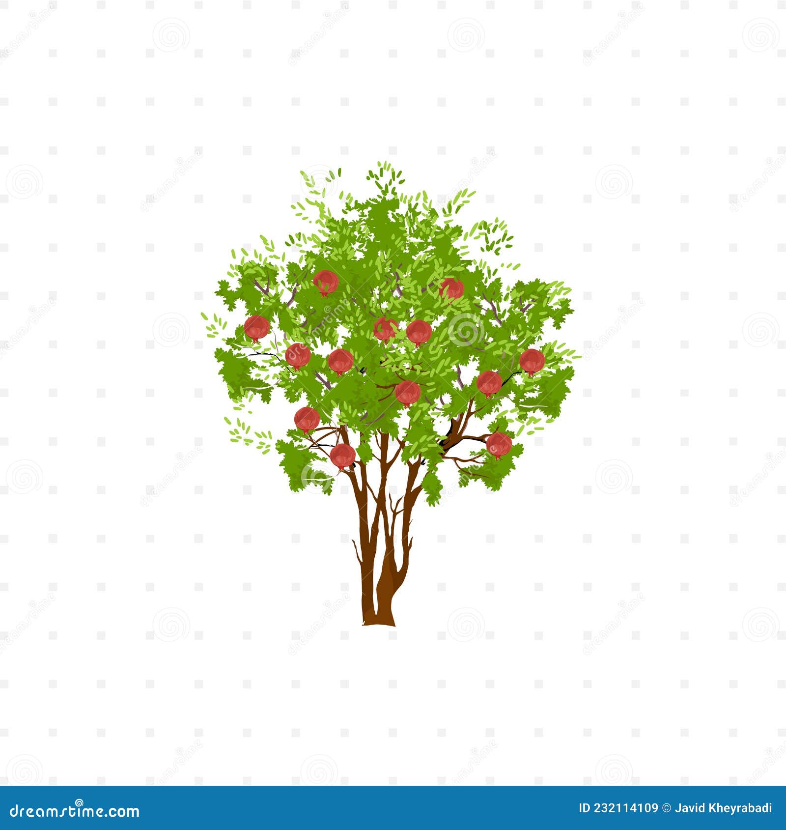 Pomegranate Tree Illustration On White Background Cartoon Vector ...