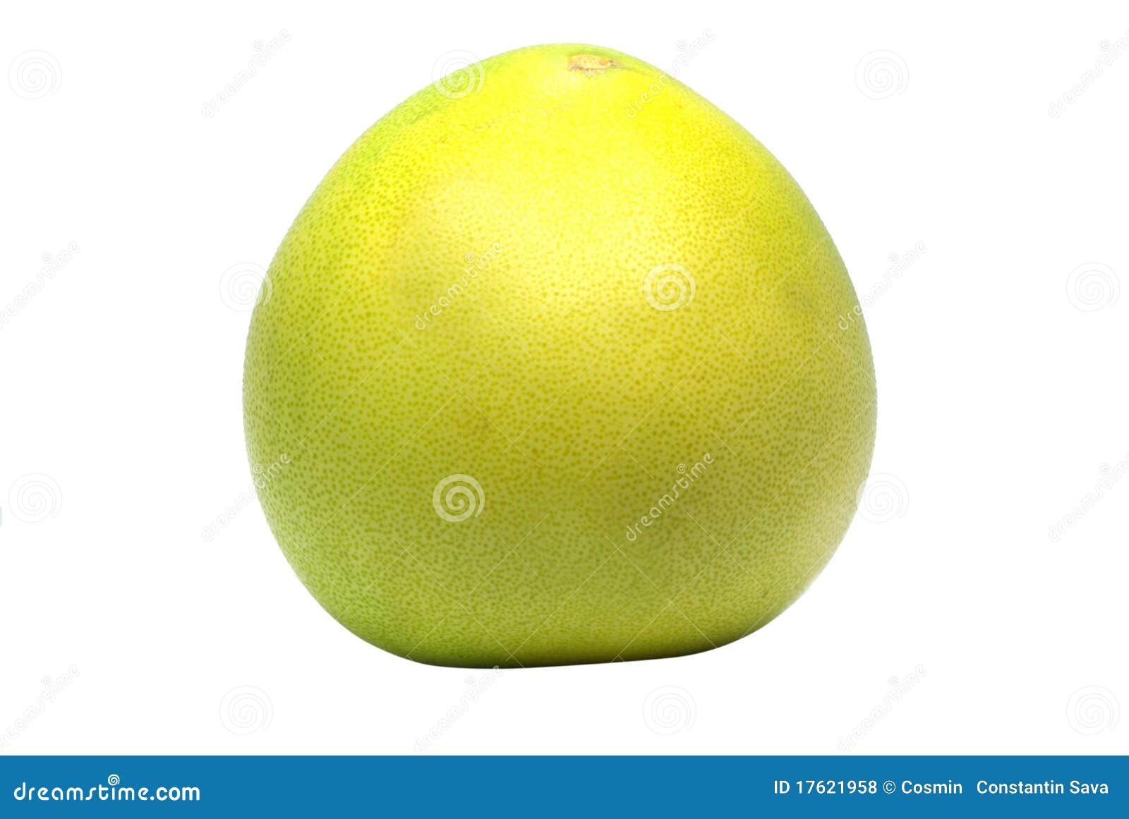 Pomelo stock photo. Image of grapefruit, eating, closeup - 17621958