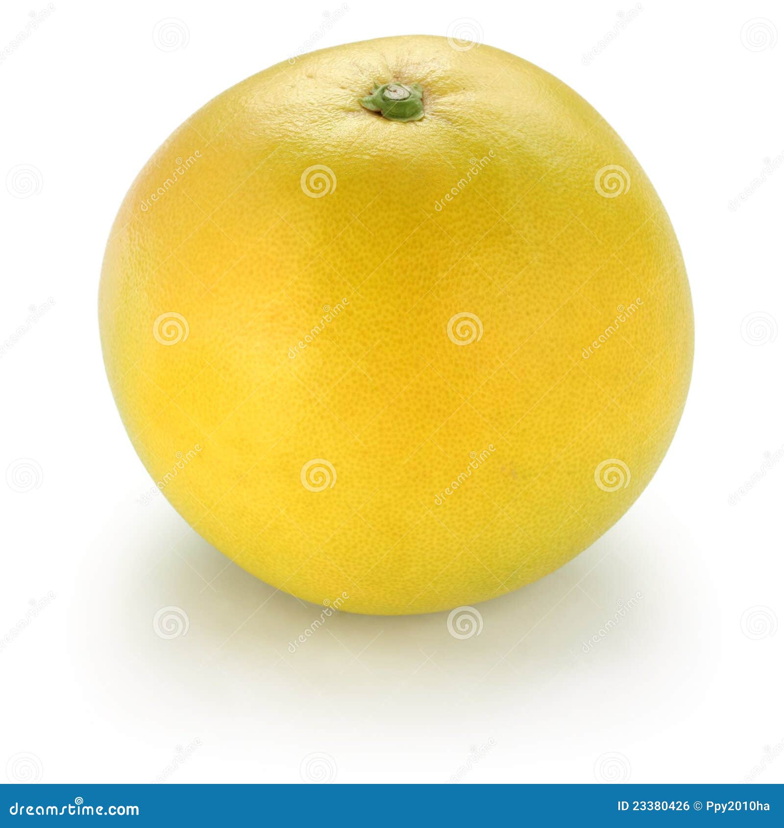 Pomelo stock photo. Image of chinese, grapefruit, thick - 23380426