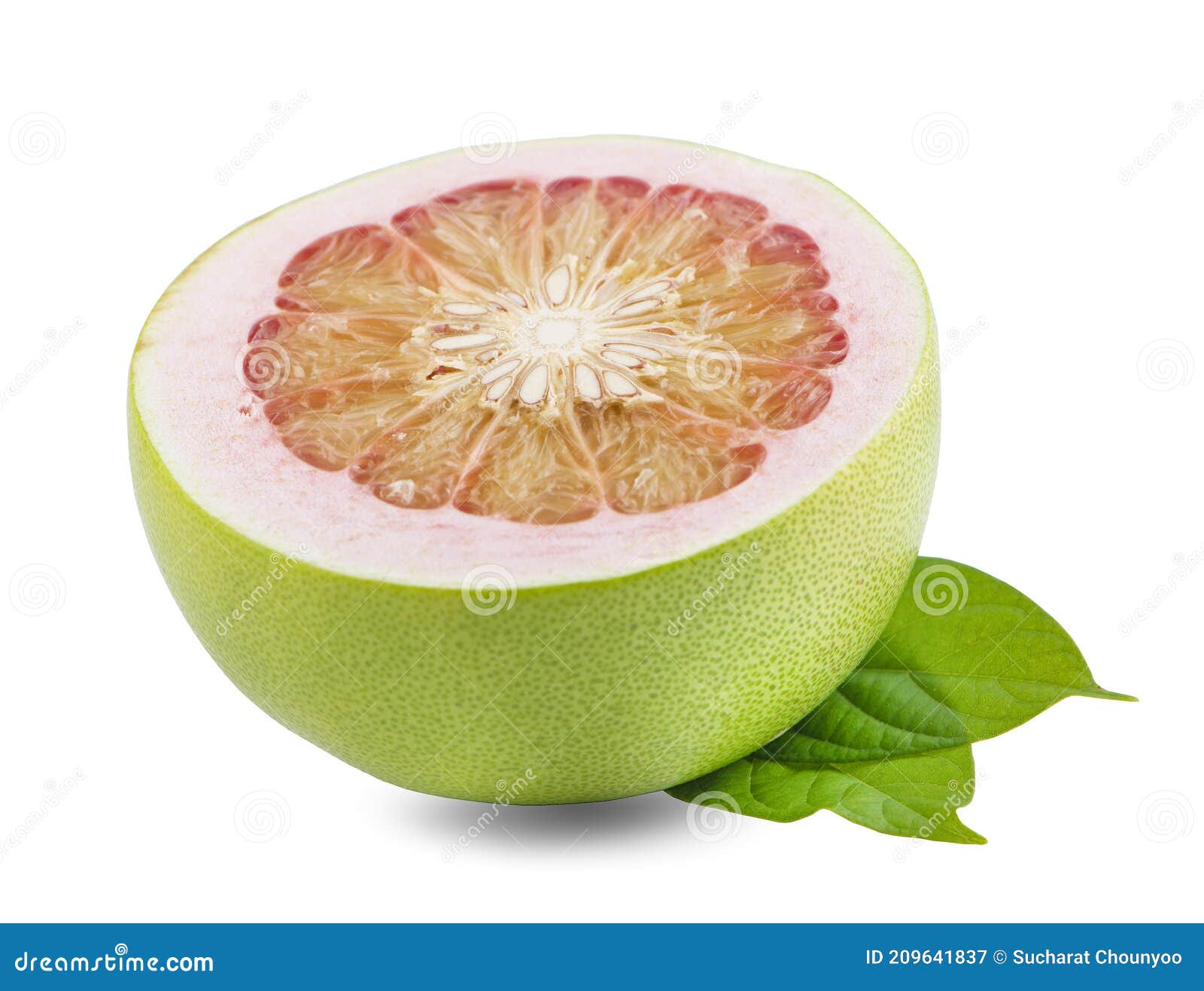 Pomelo Citrus Fruit with Leaves Isolated on White Background Stock ...