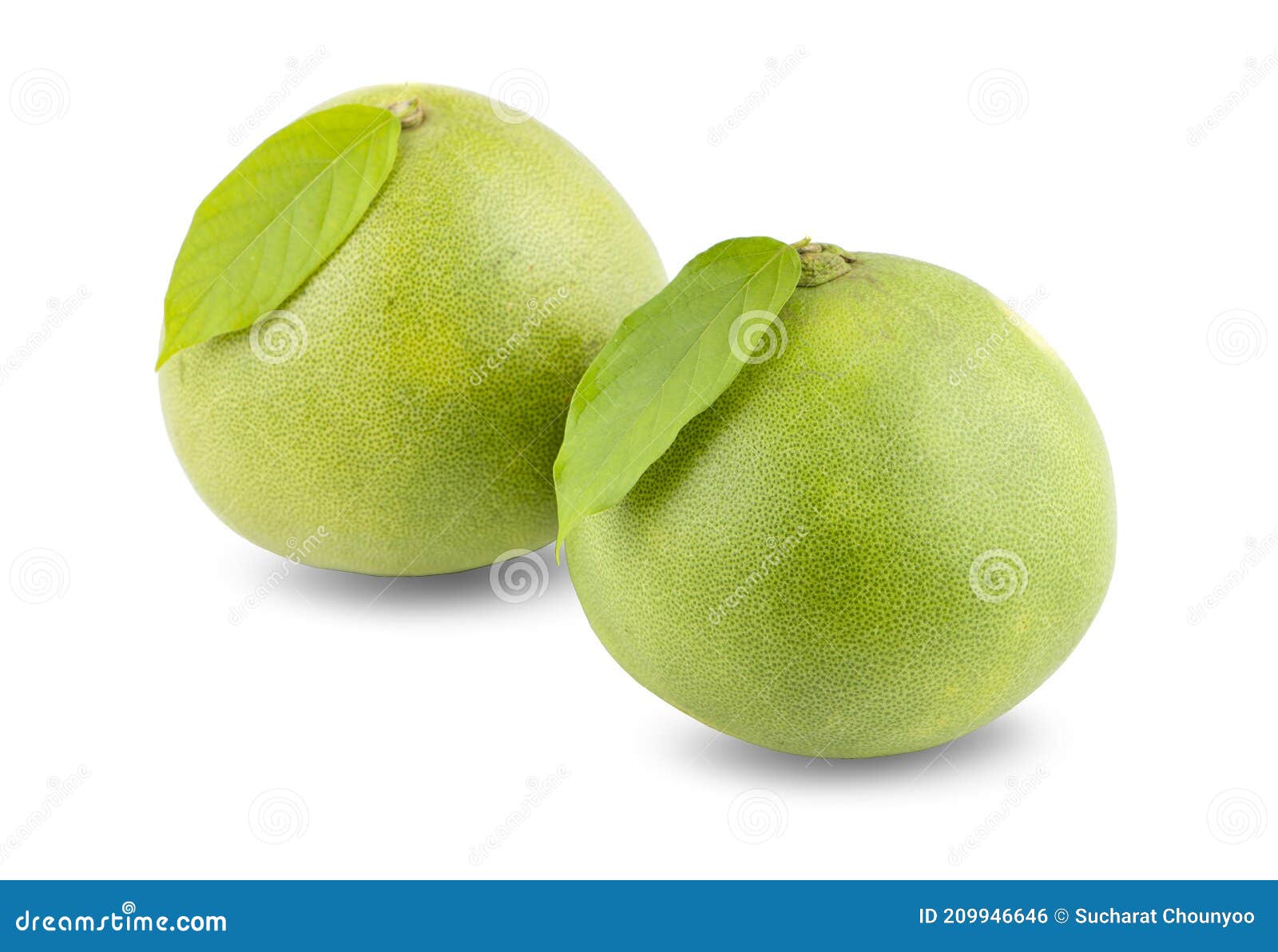 Pomelo Citrus Fruit with Leaves Isolated on White Background Stock ...