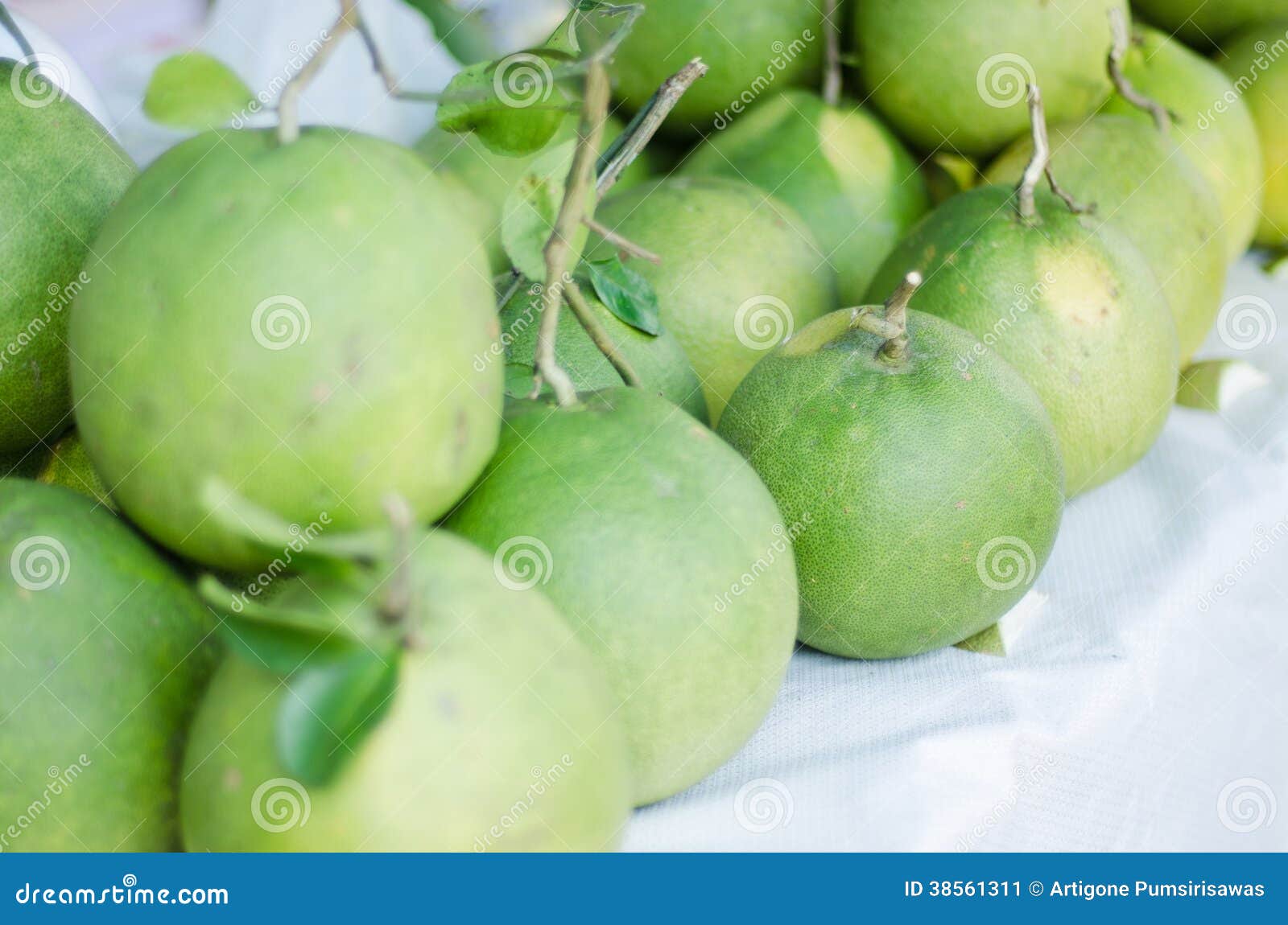 Pomelo stock image. Image of large, nutritious, culinary - 38561311