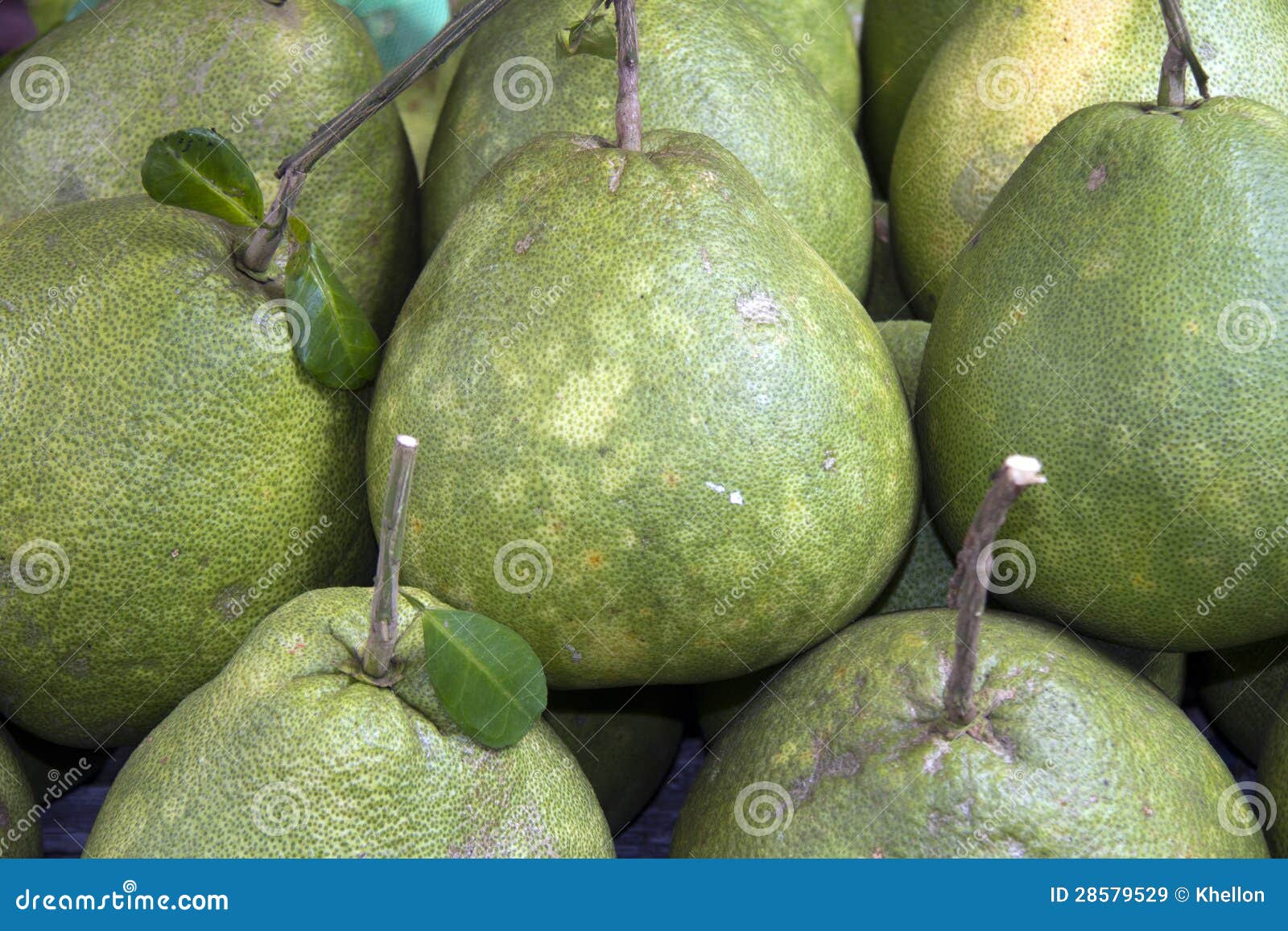Pomelo fruit stock image. Image of exotic, juicy, fruits - 28579529
