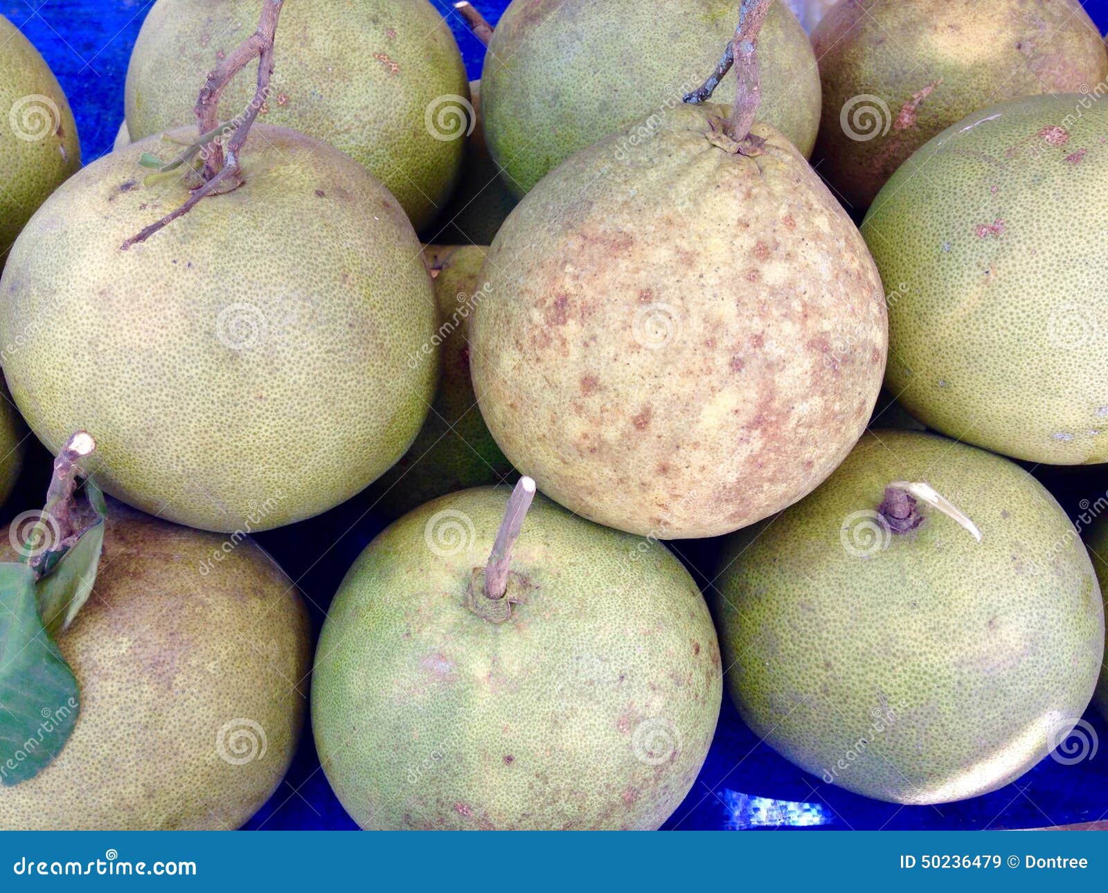 Pomelo fruit on shelves stock image. Image of fruit, peel - 50236479