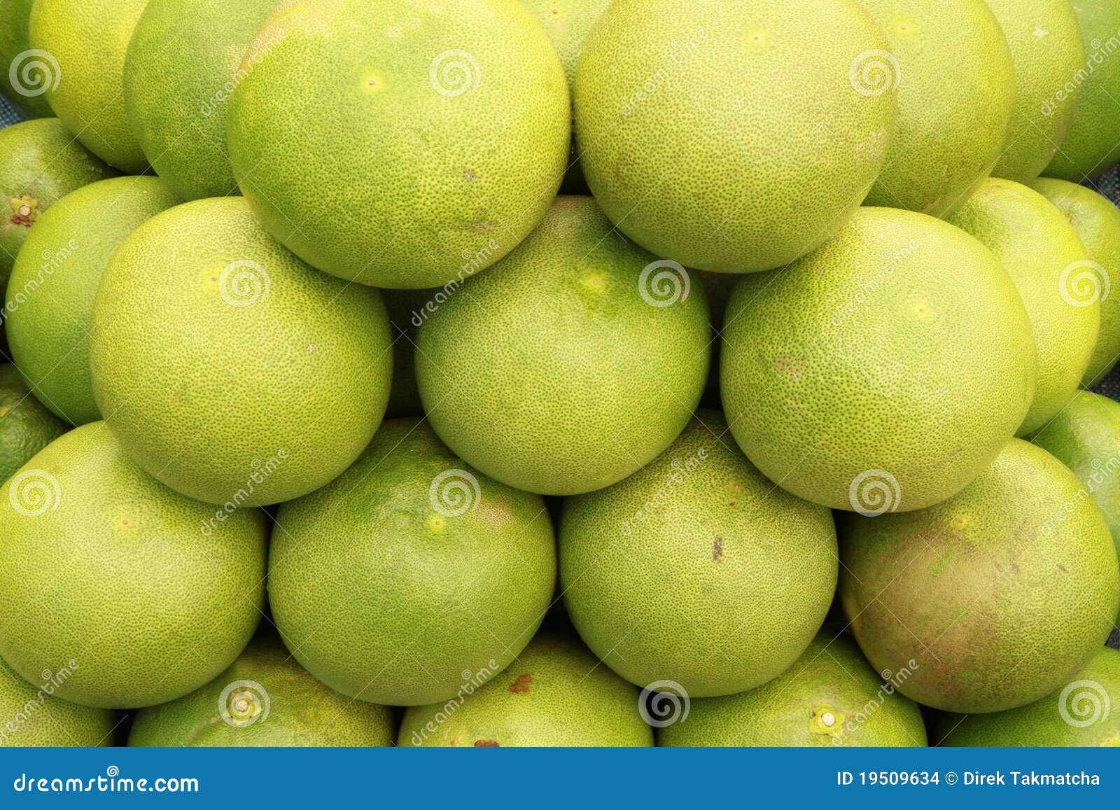 Pomelo, fruta tropical foto de stock. Imagem de varejista - 19509634