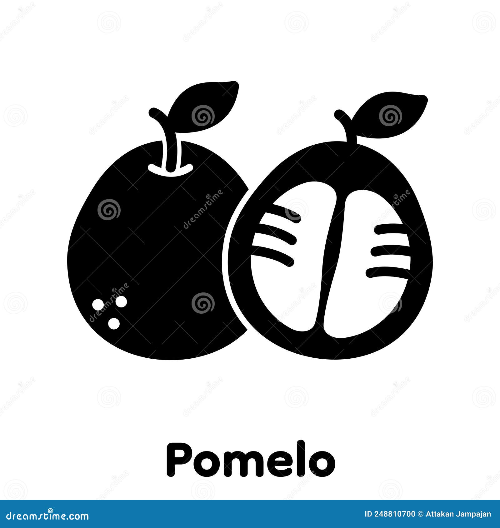 Pomelo Glyph Icon, Vector, Illustration. Stock Vector - Illustration of ...
