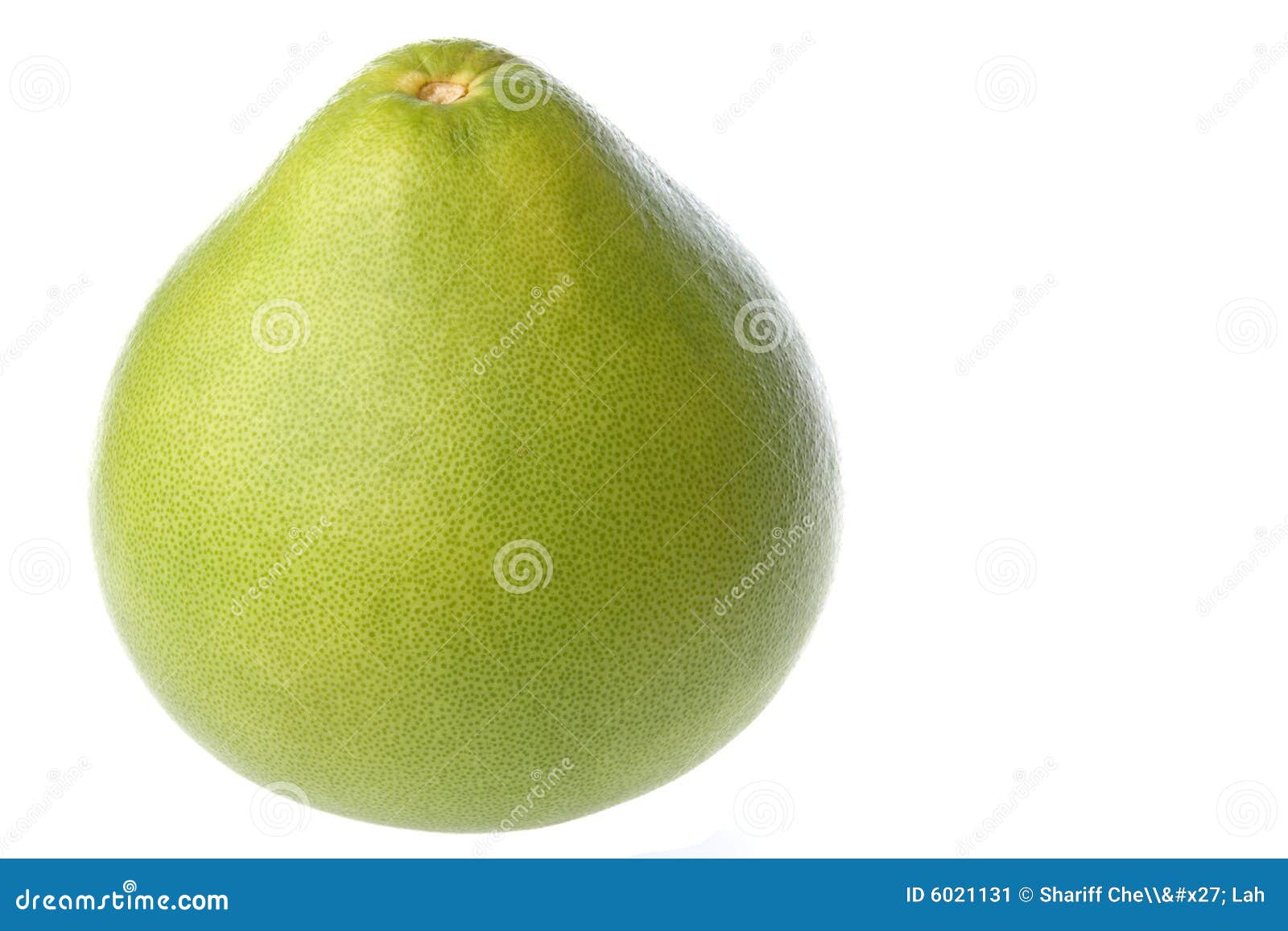 Pomelo Isolated stock image. Image of exotic, diet, fruit - 6021131