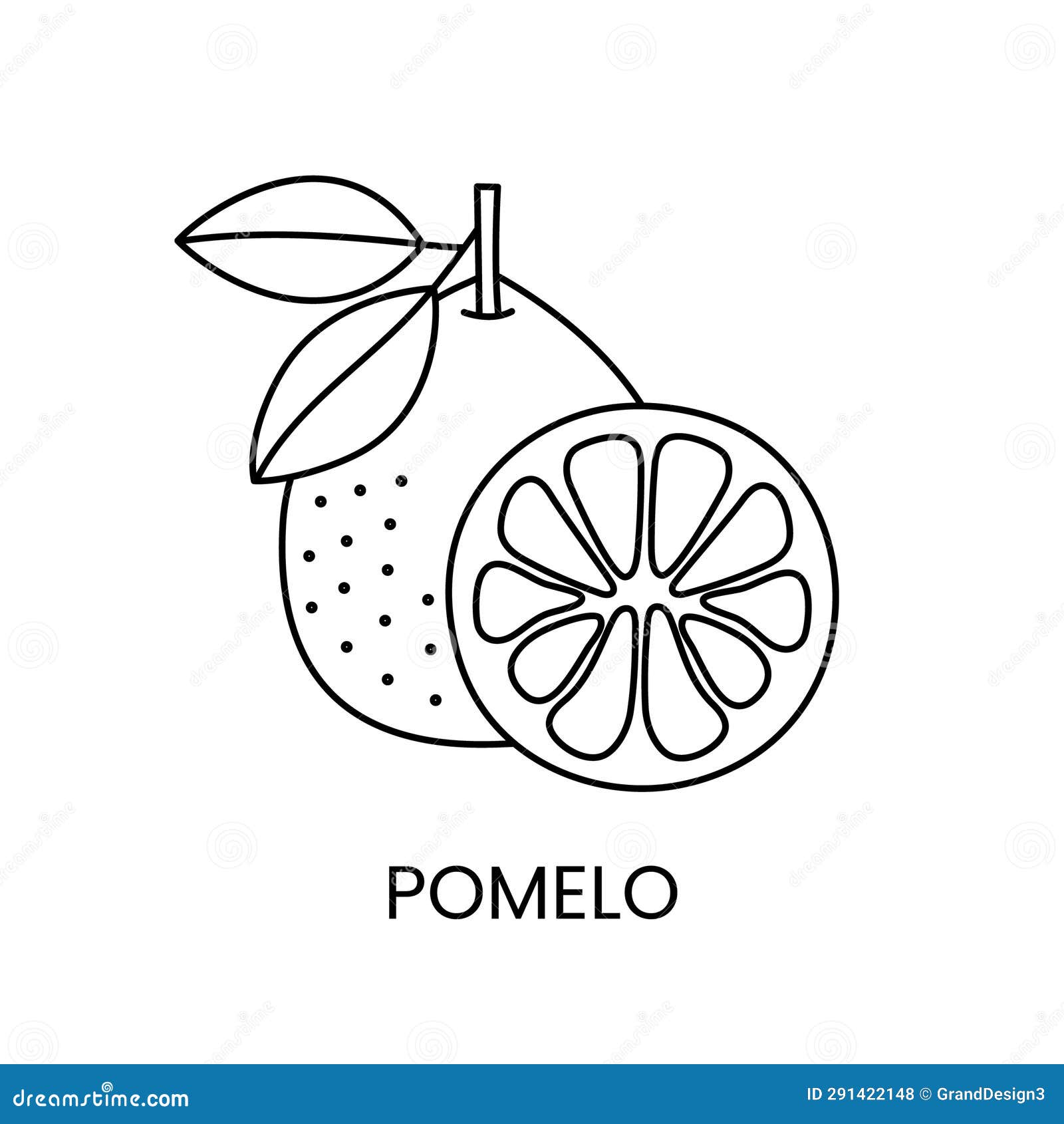 Pomelo Line Icon in Vector, Citrus Fruit Illustration Stock Vector ...