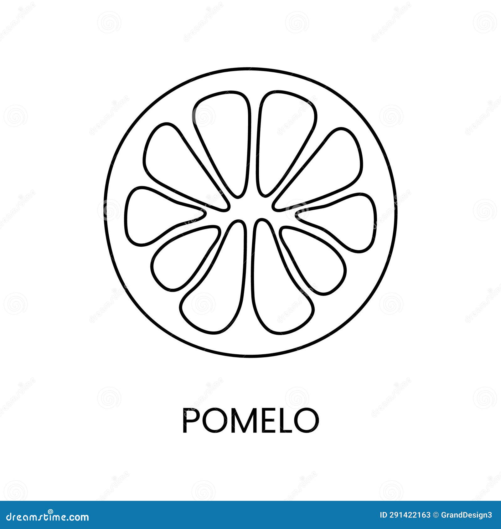 Pomelo Line Icon in Vector, Citrus Fruit Illustration Stock ...