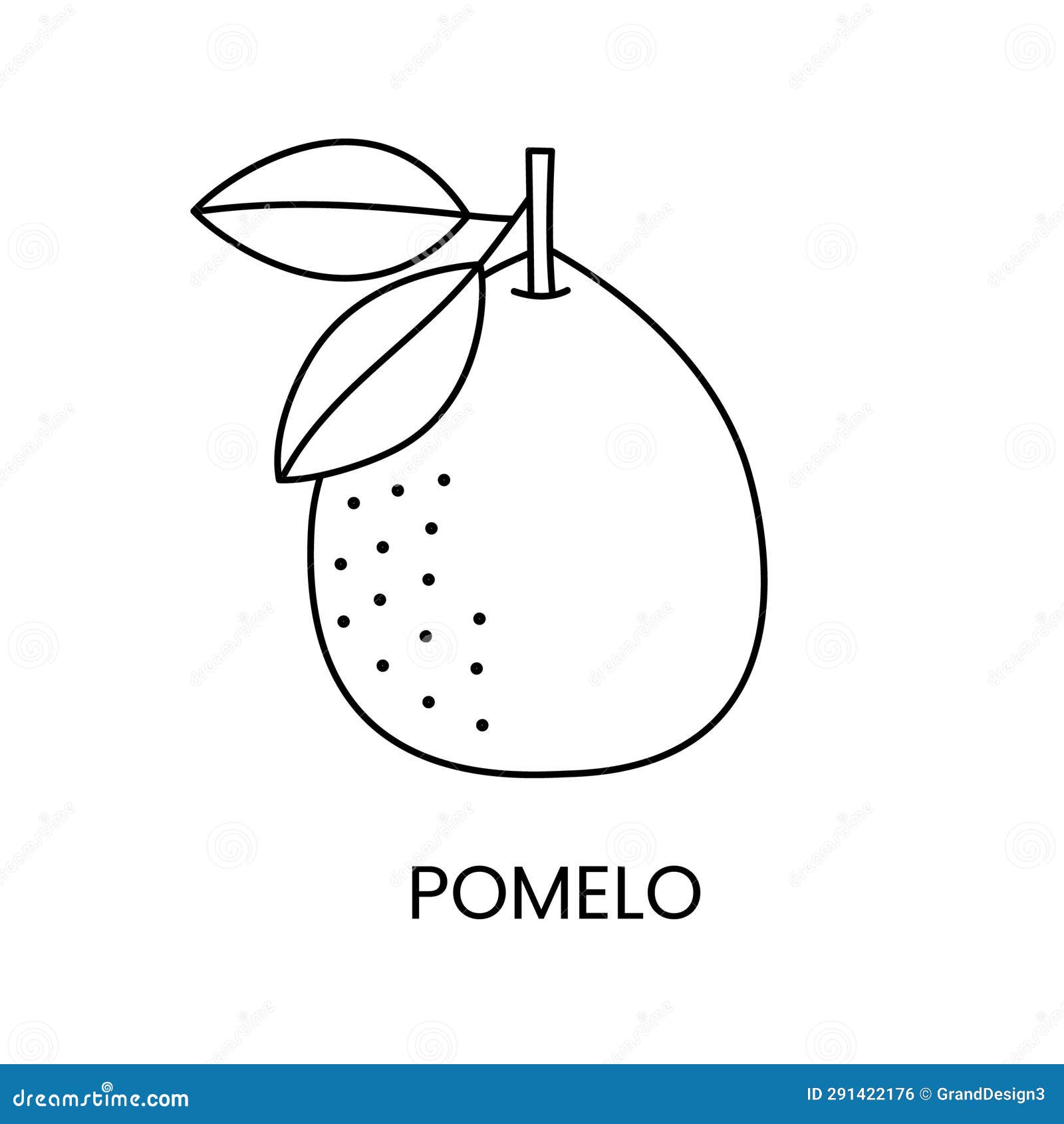 Pomelo Line Icon in Vector, Citrus Fruit Illustration Stock Vector ...