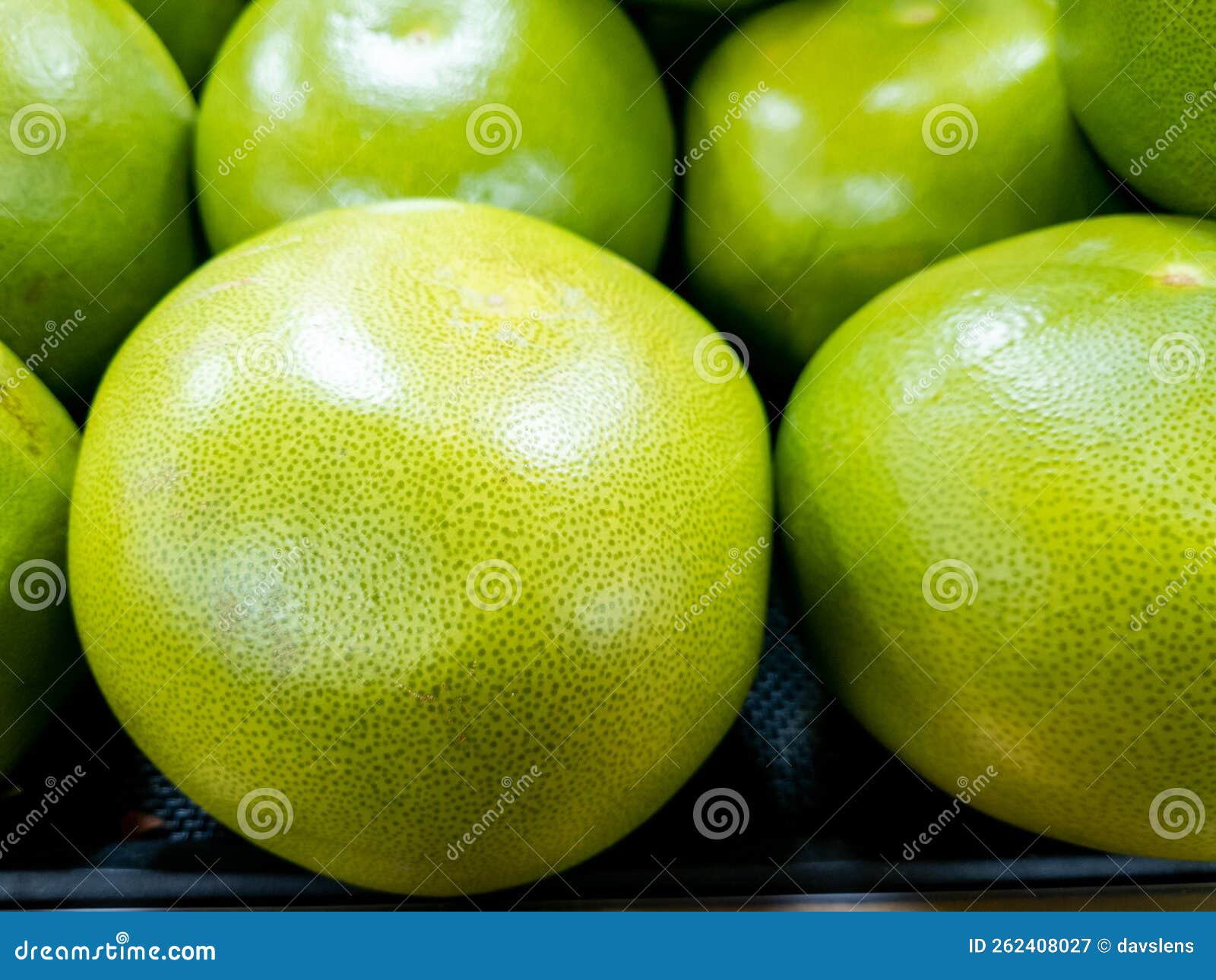 Pomelo stock image. Image of grapefruit, sweet, plant - 262408027