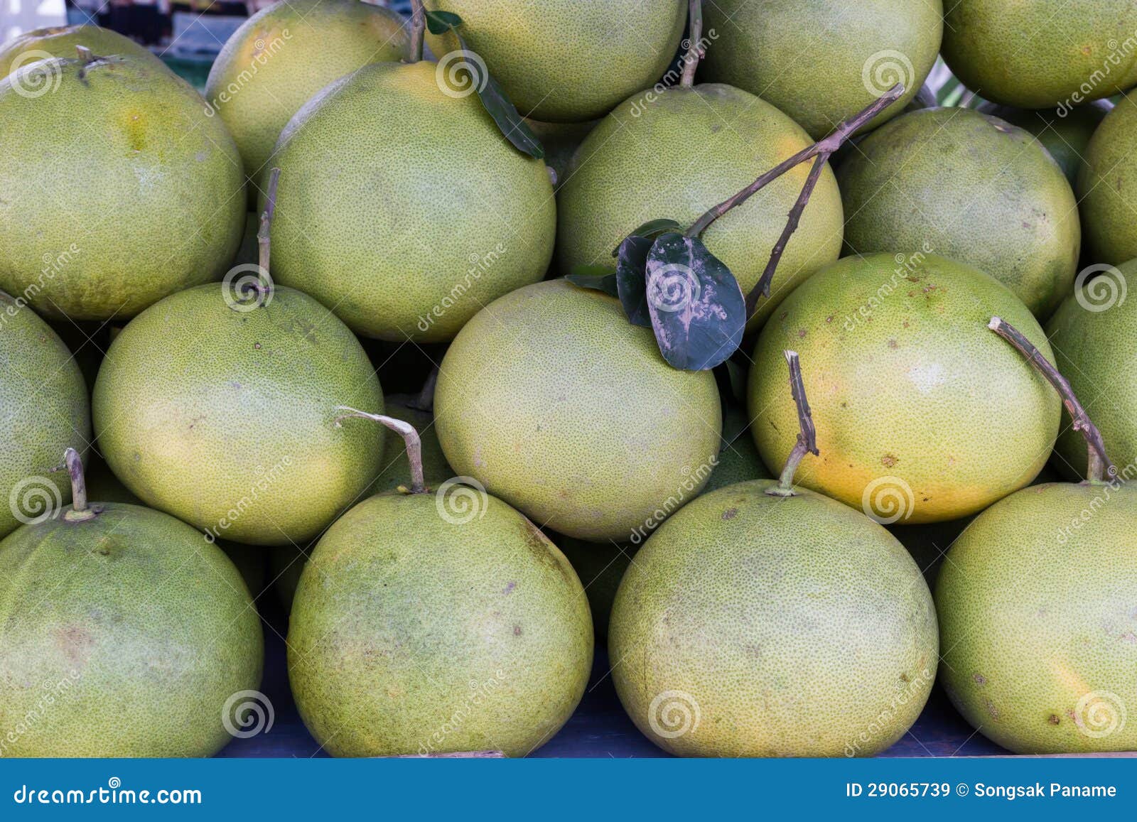 Pomelo or pummelo stock image. Image of delicious, large - 29065739
