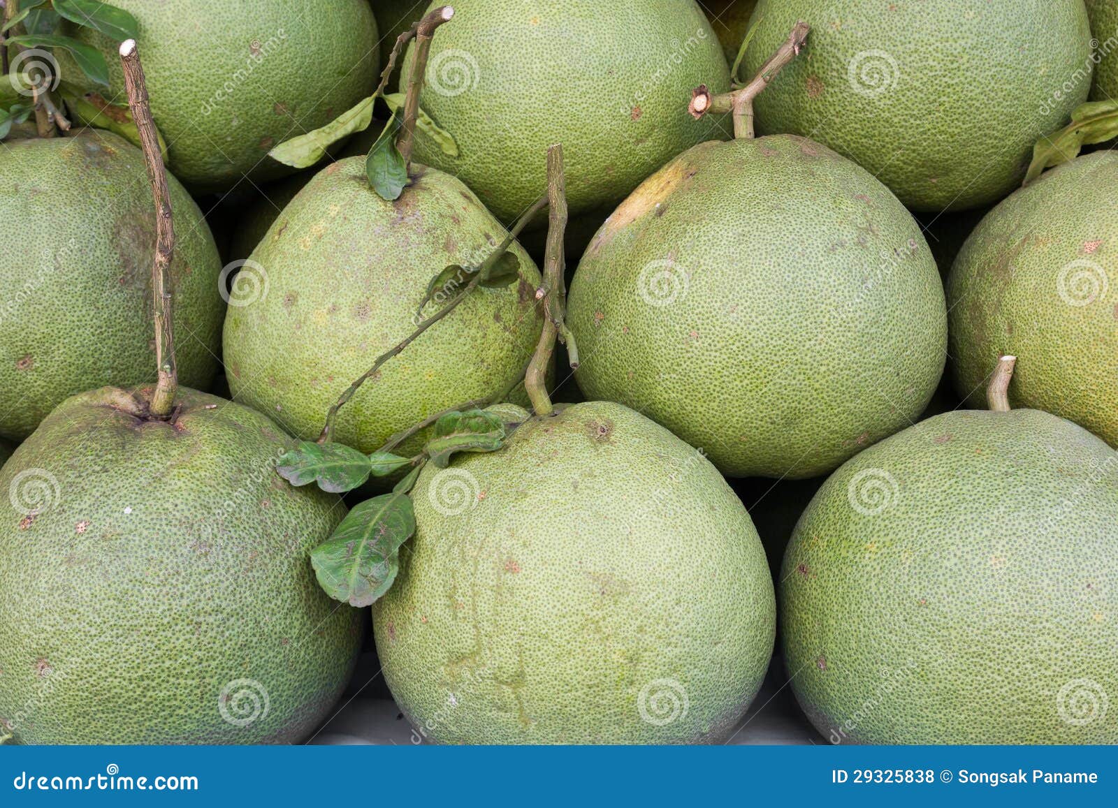 Pomelo or pummelo stock photo. Image of health, pummelo - 29325838