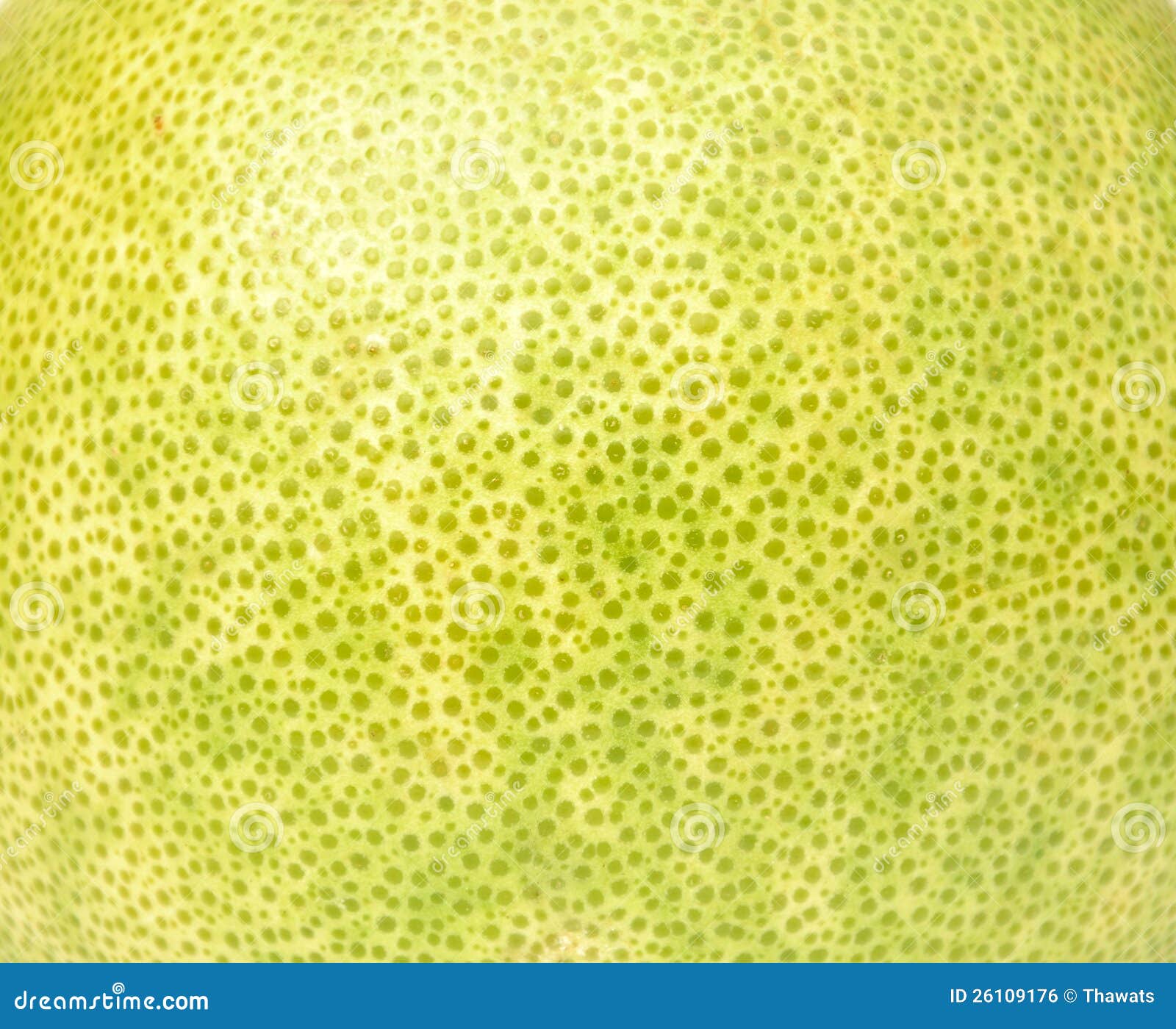Pomelo Texture stock photo. Image of citrus, fruit, greenery - 26109176