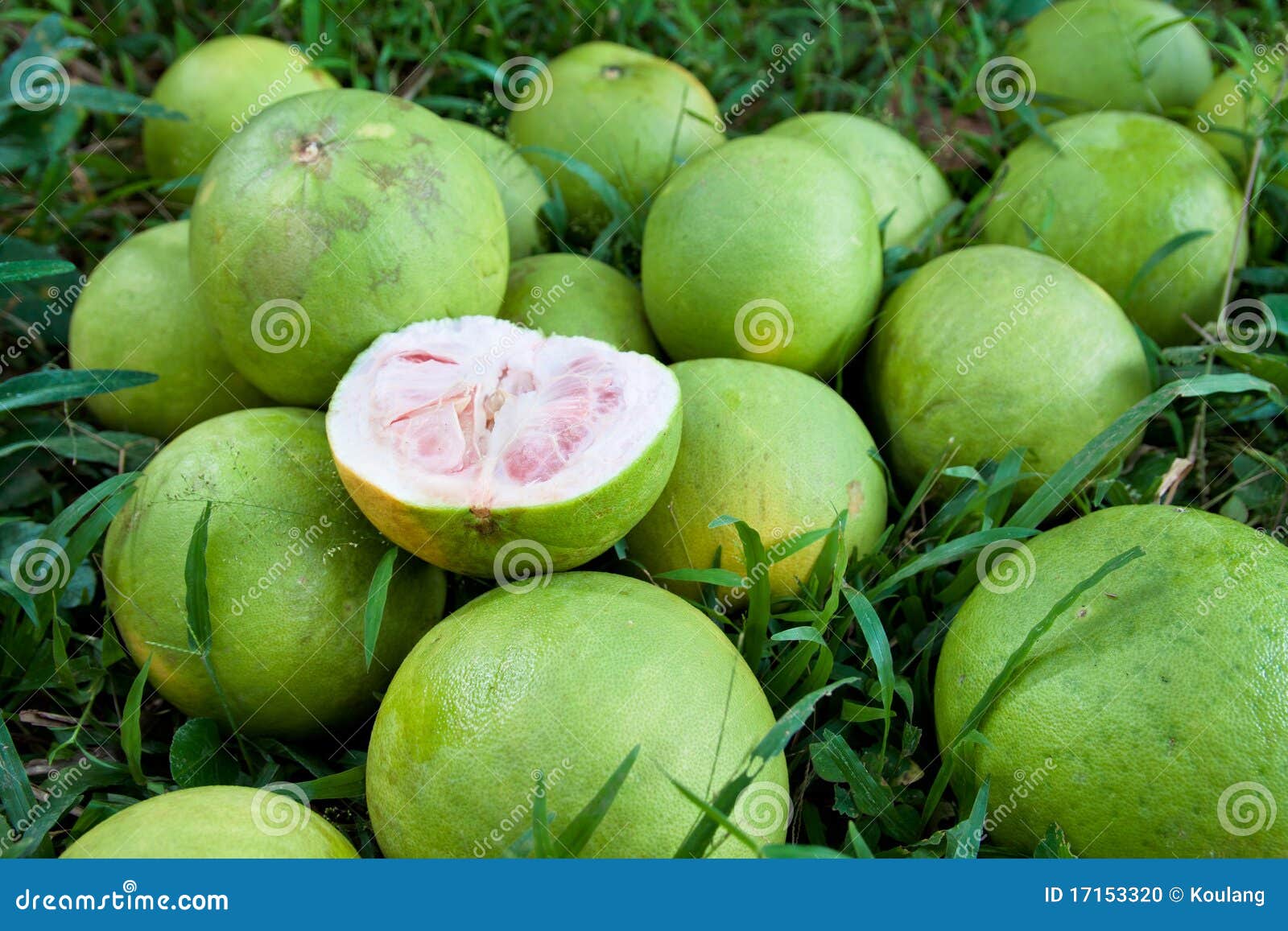 Pomelos stock photo. Image of uniq, spotted, pomelos - 17153320