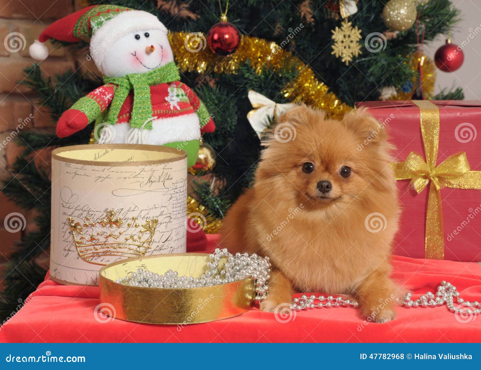 Pomeranian Dog at the Christmas Tree Stock Photo - Image of cute, xmas ...