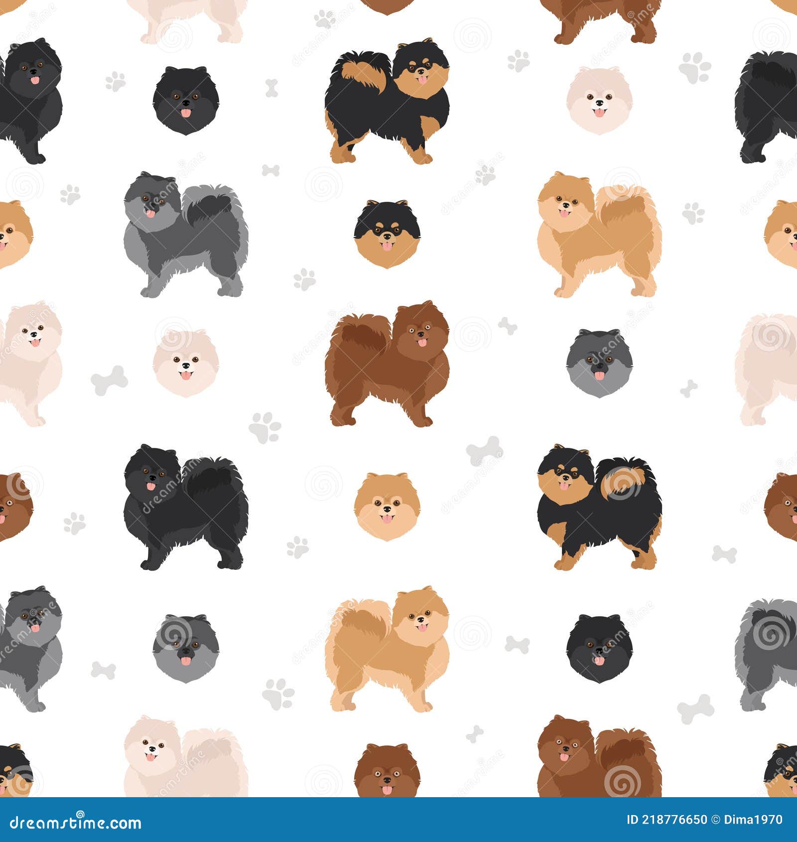 Pomeranian German Spitz Seamless Pattern. Different Poses, Coat Colors Set Stock Vector ...