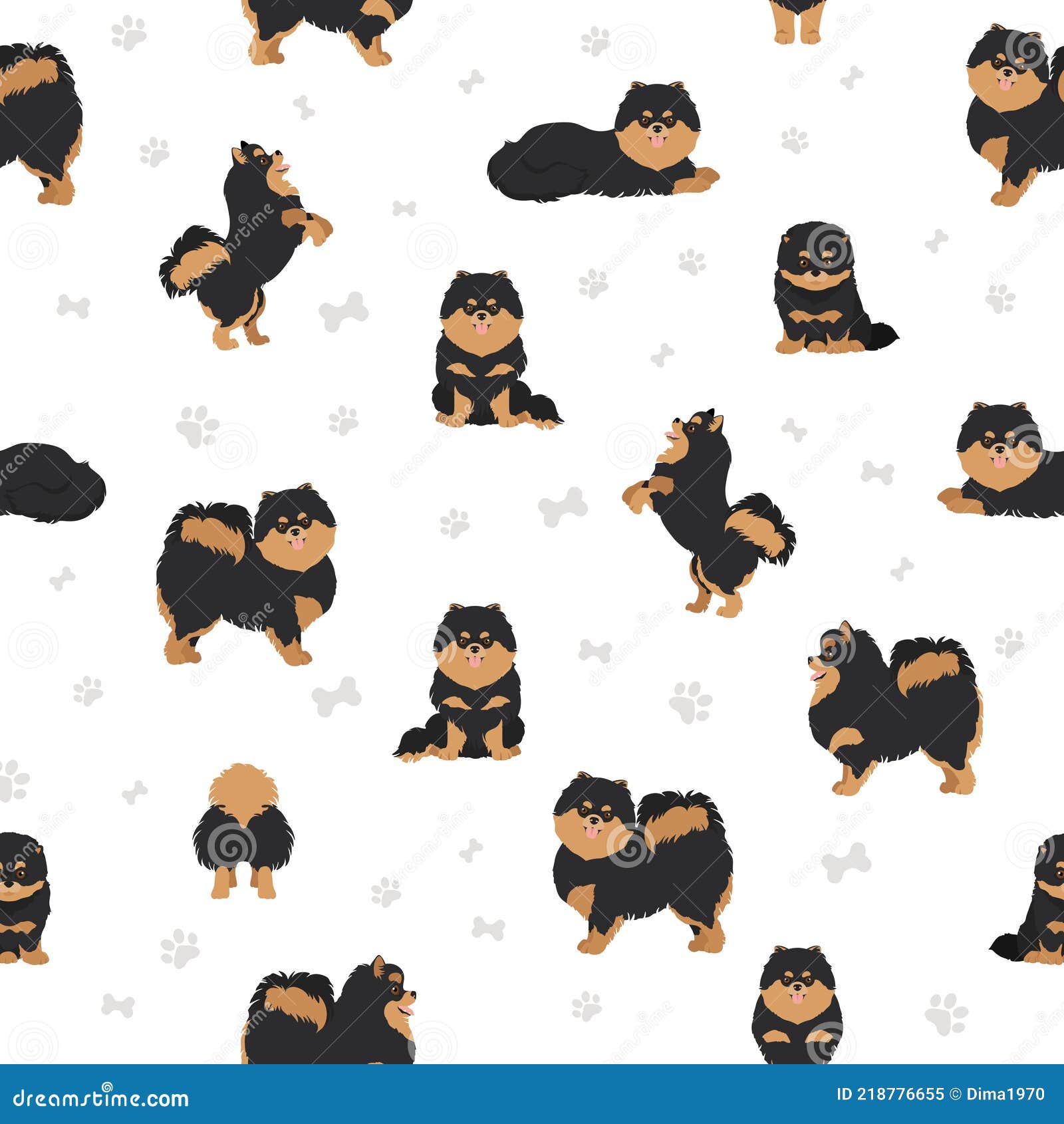 Pomeranian German Spitz Seamless Pattern. Different Poses, Coat Colors Set Stock Vector ...