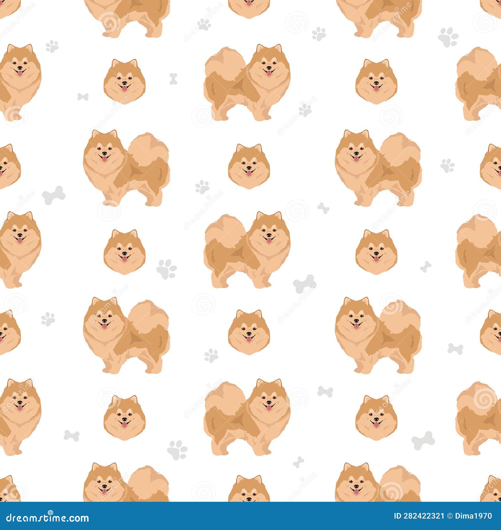 Pomeranian German Spitz Seamless Pattern. Different Poses, Coat Colors Set Stock Vector ...