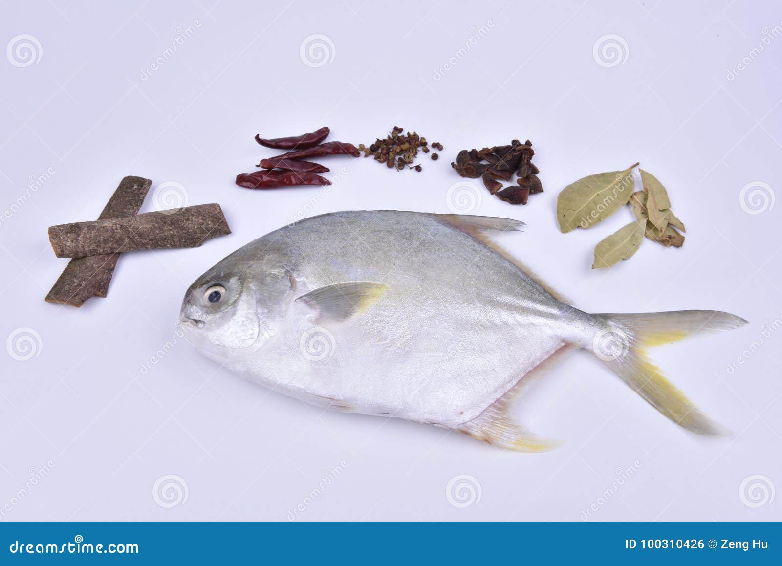 Pomfret stock photo. Image of animal, aquatic, eating - 100310426
