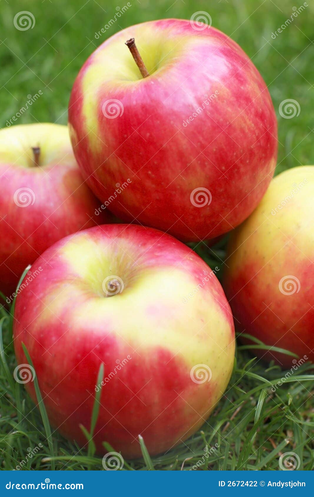 Pomme de dame rose photo stock. Image du ingrédient, nourriture - 2672422