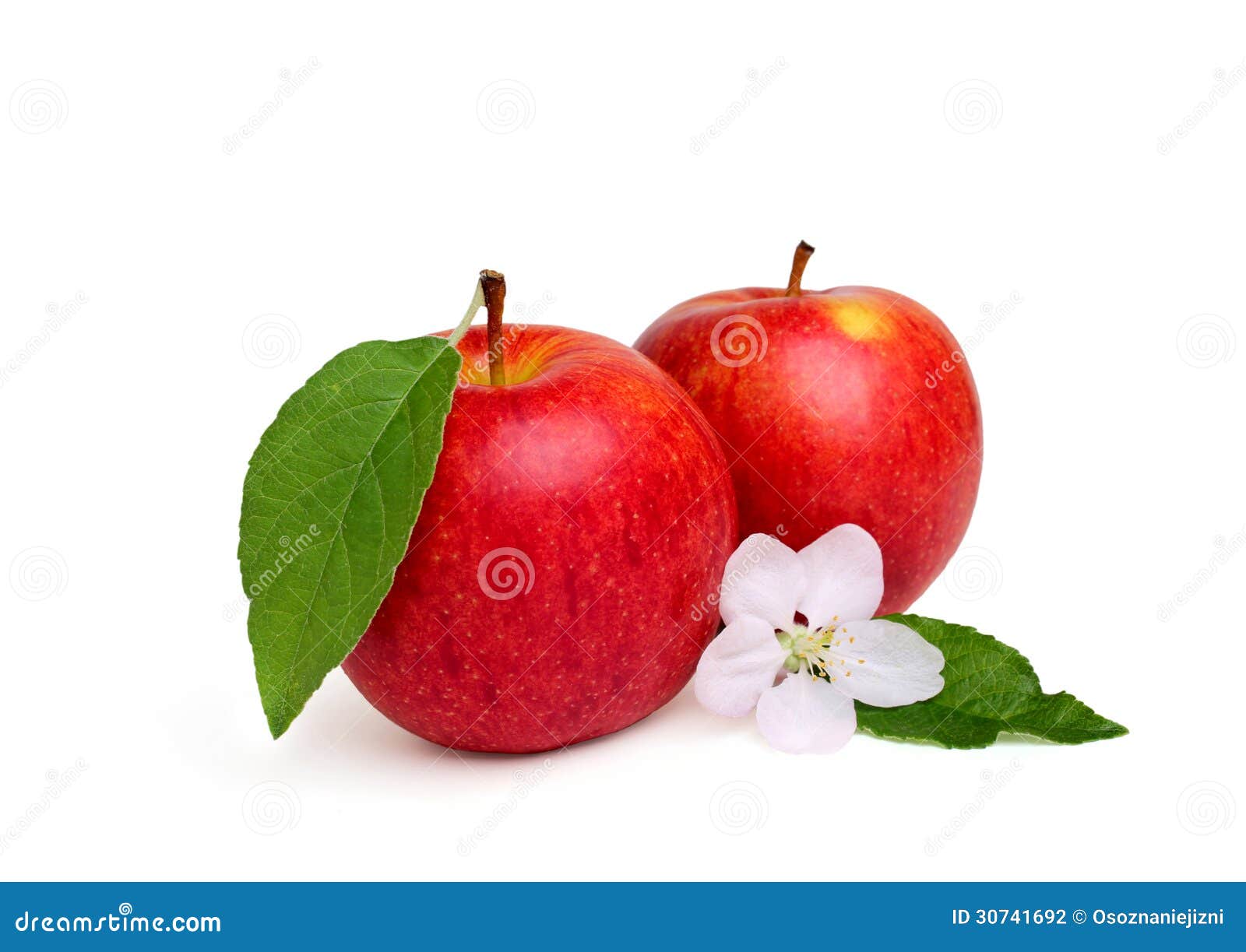 Pomme De Deux Rouges Avec La Fleur De Pomme. Photo stock - Image du ...