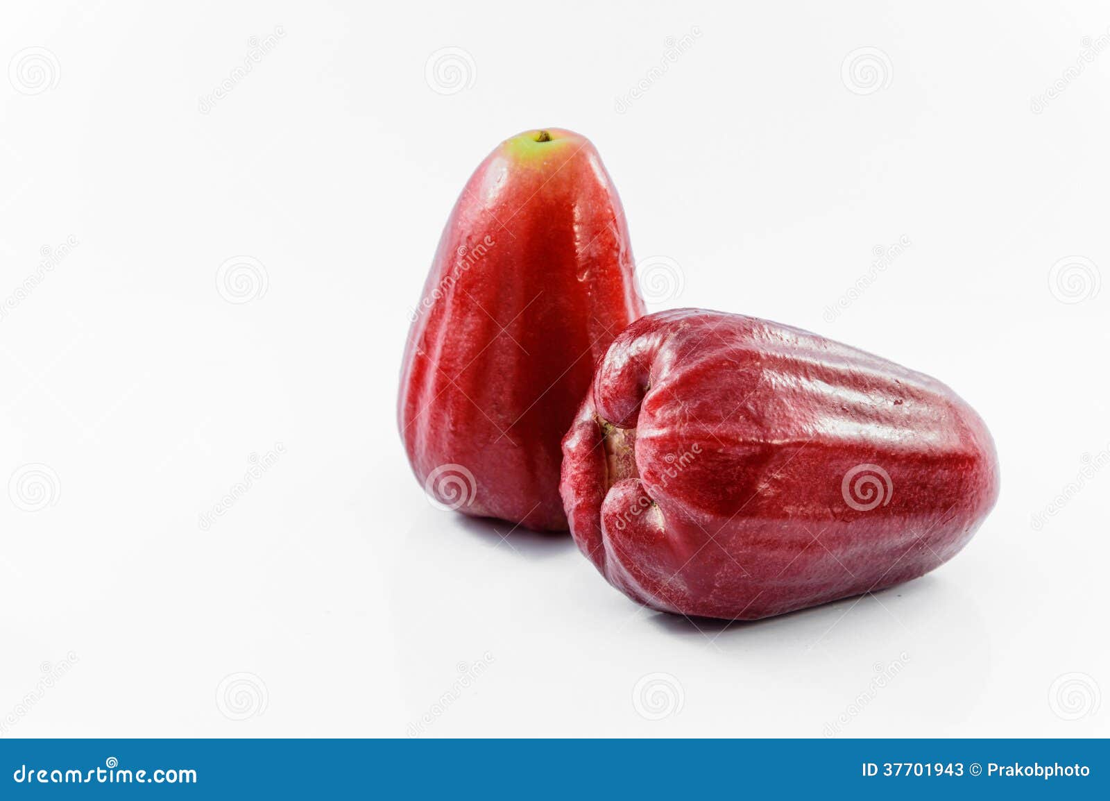 Pomme de Rose image stock. Image du nature, complètement - 37701943