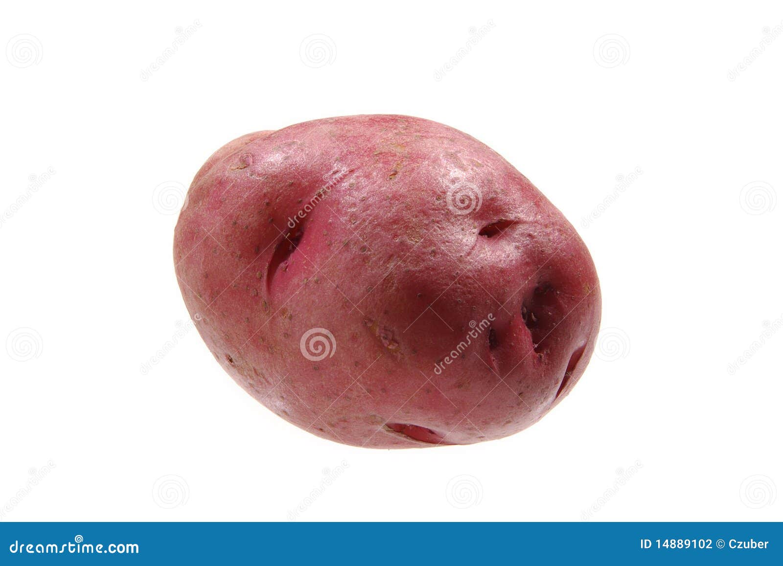 Pomme de terre rouge photo stock. Image du patate, blanc - 14889102